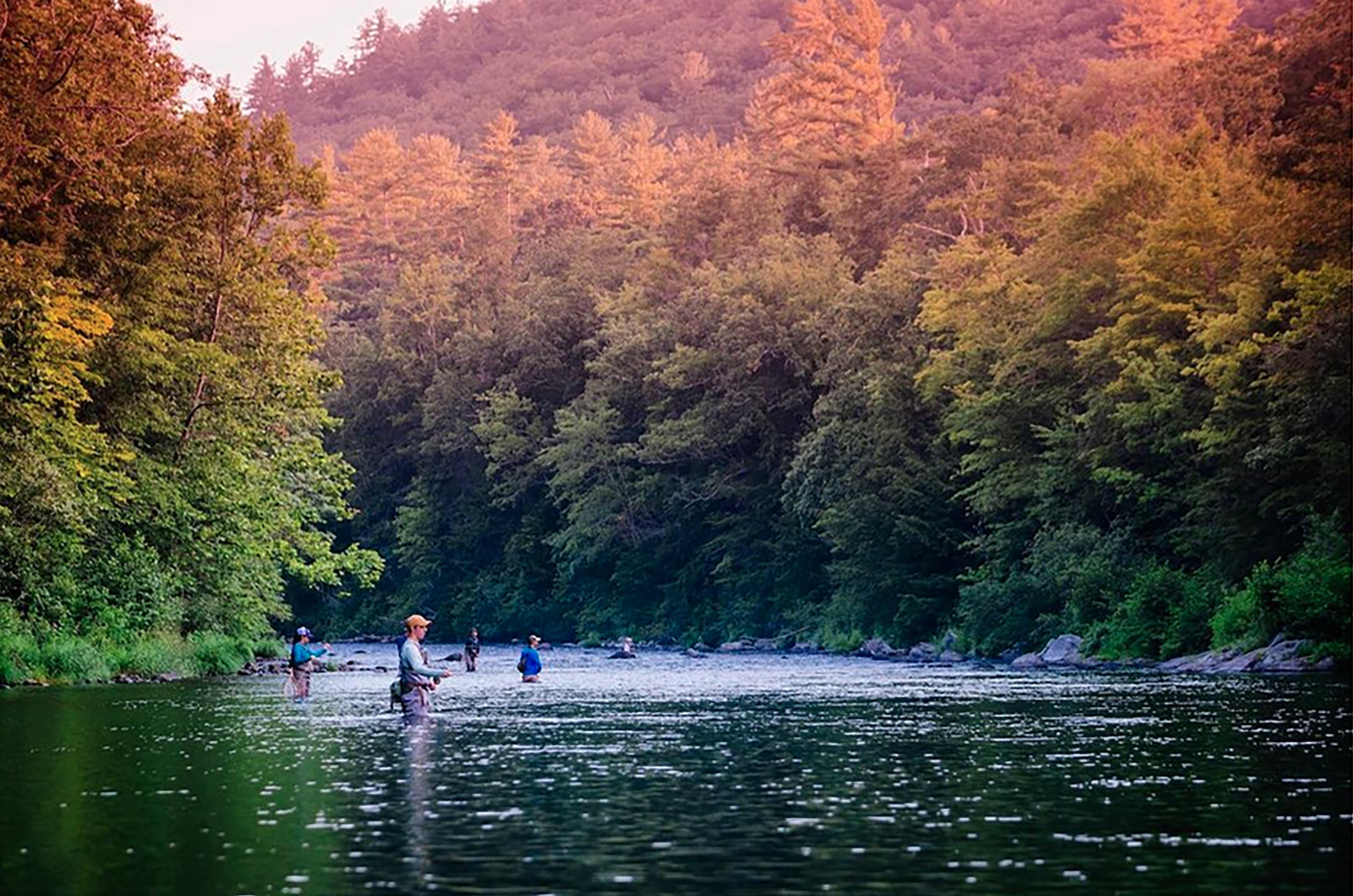 Hunting in Connecticut State Parks | Connecticut State Parks and Forests
