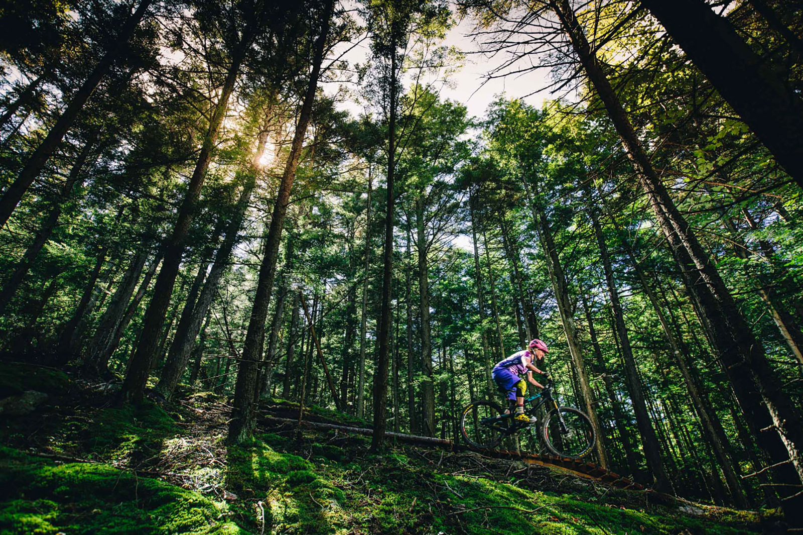 Biking at Connecticut State Parks | Connecticut State Parks and Forests