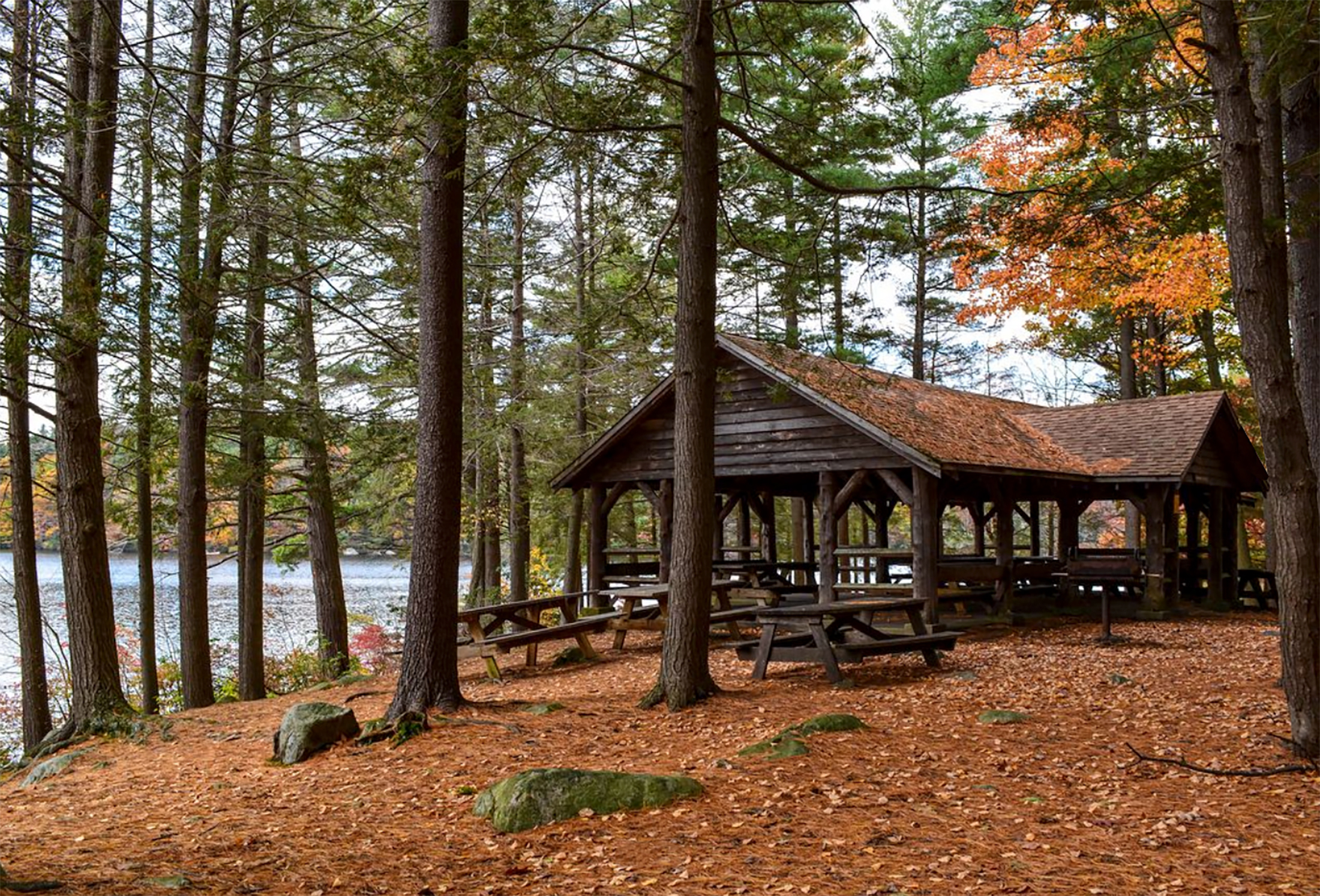 Picnicking in Connecticut State Parks | Connecticut State Parks and Forests