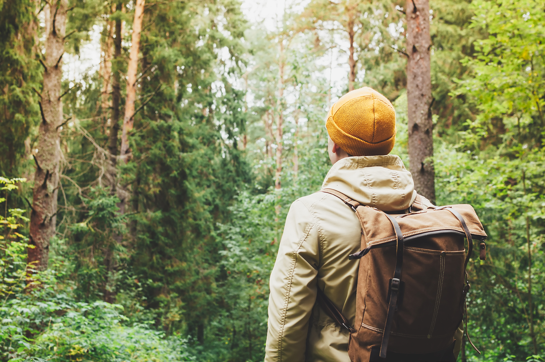 Camping in Connecticut State Parks | Connecticut State Parks and Forests