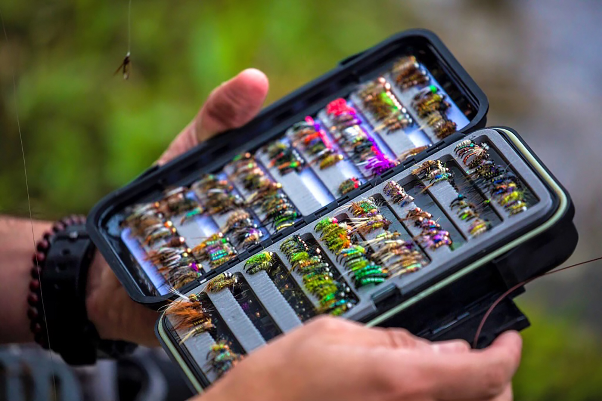 Fishing at Connecticut State Parks | Connecticut State Parks and Forests