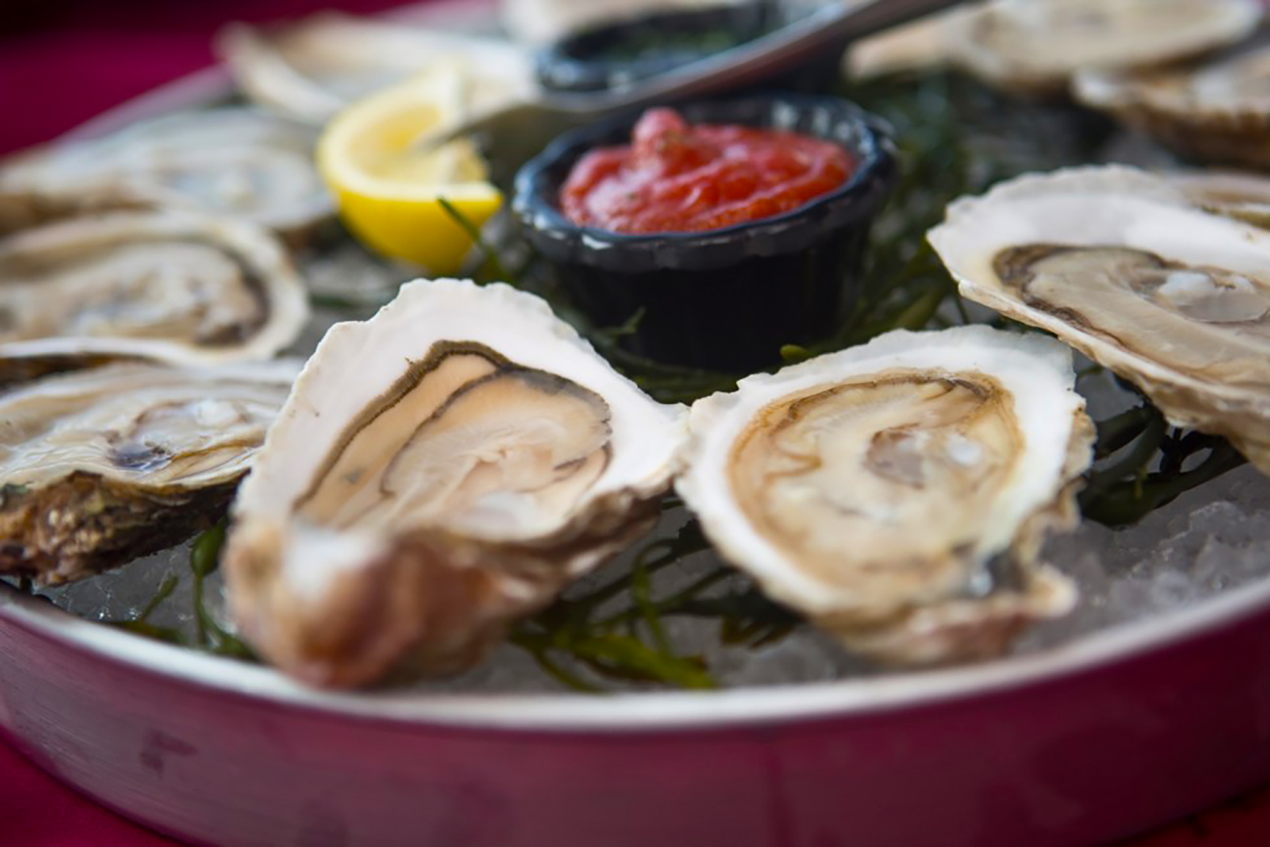 Fishing at Connecticut State Parks | Connecticut State Parks and Forests