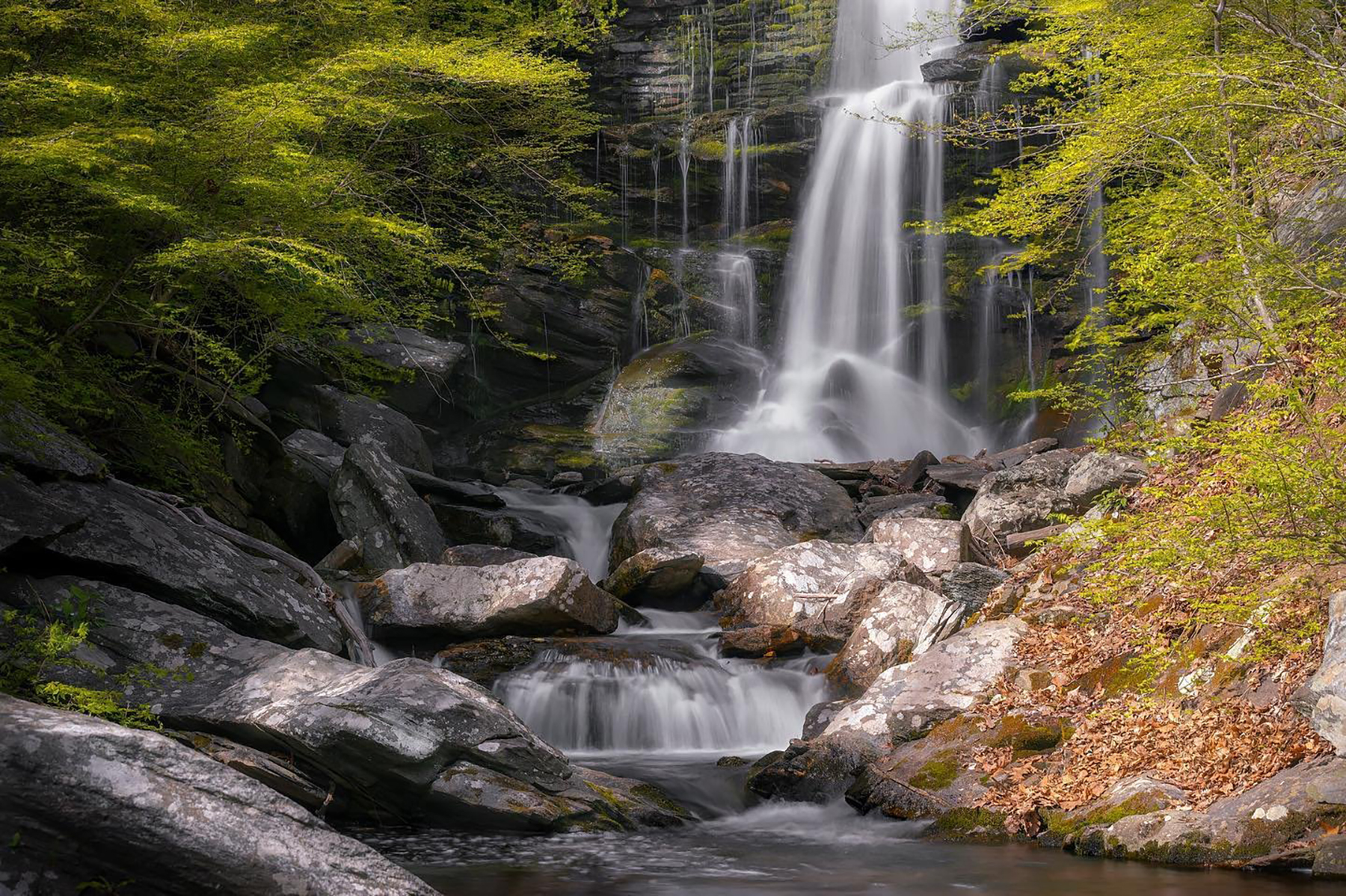 Picnicking in Connecticut State Parks | Connecticut State Parks and Forests