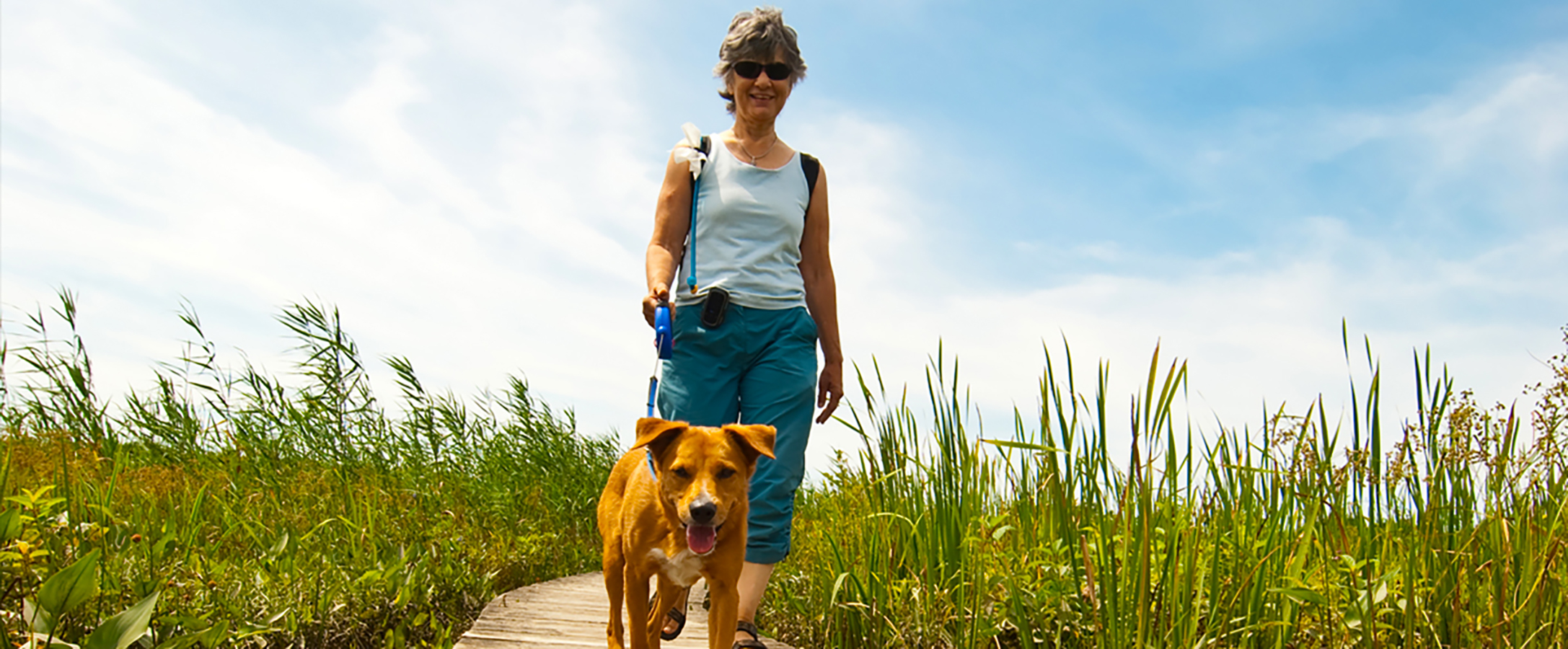 Hiking in Connecticut State Parks | Connecticut State Parks and Forests
