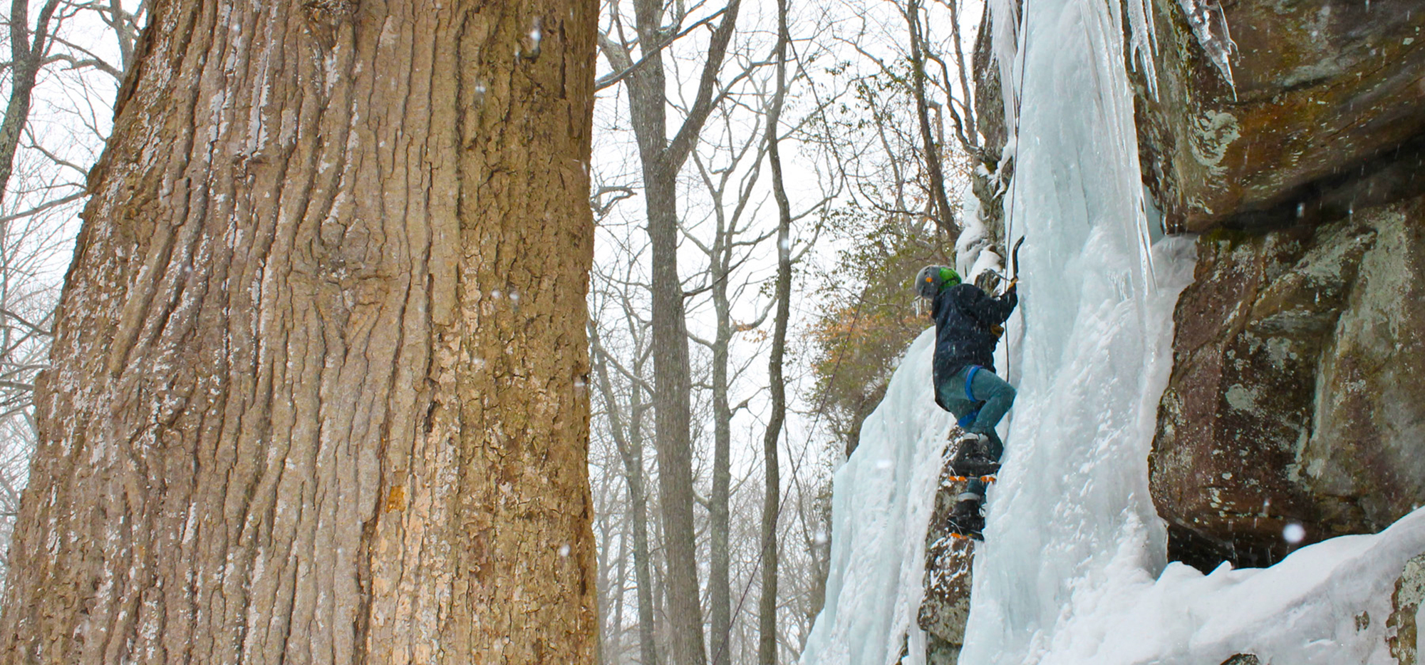 Winter Activities in Connecticut State Parks | Connecticut State Parks ...