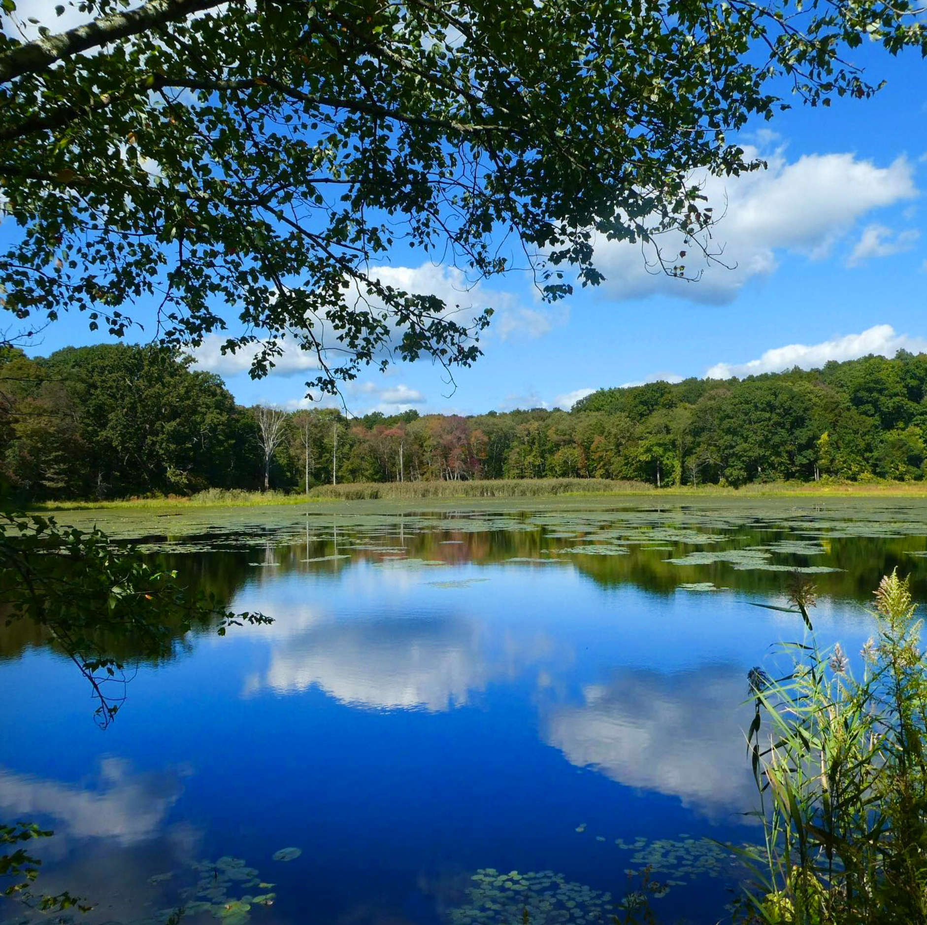 Air Line State Park Trail | Connecticut State Parks and Forests