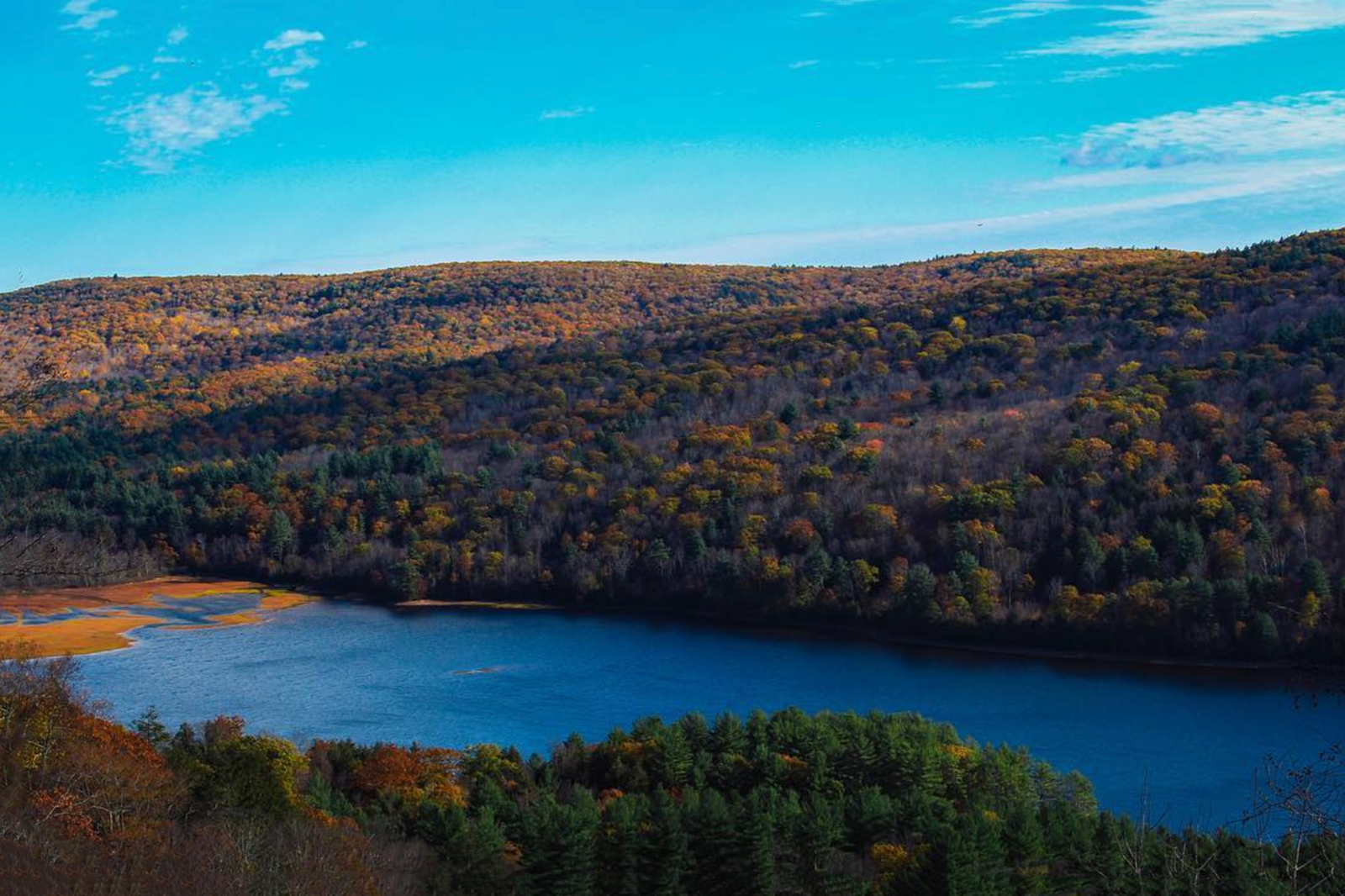 American Legion State Forest | Connecticut State Parks and Forests