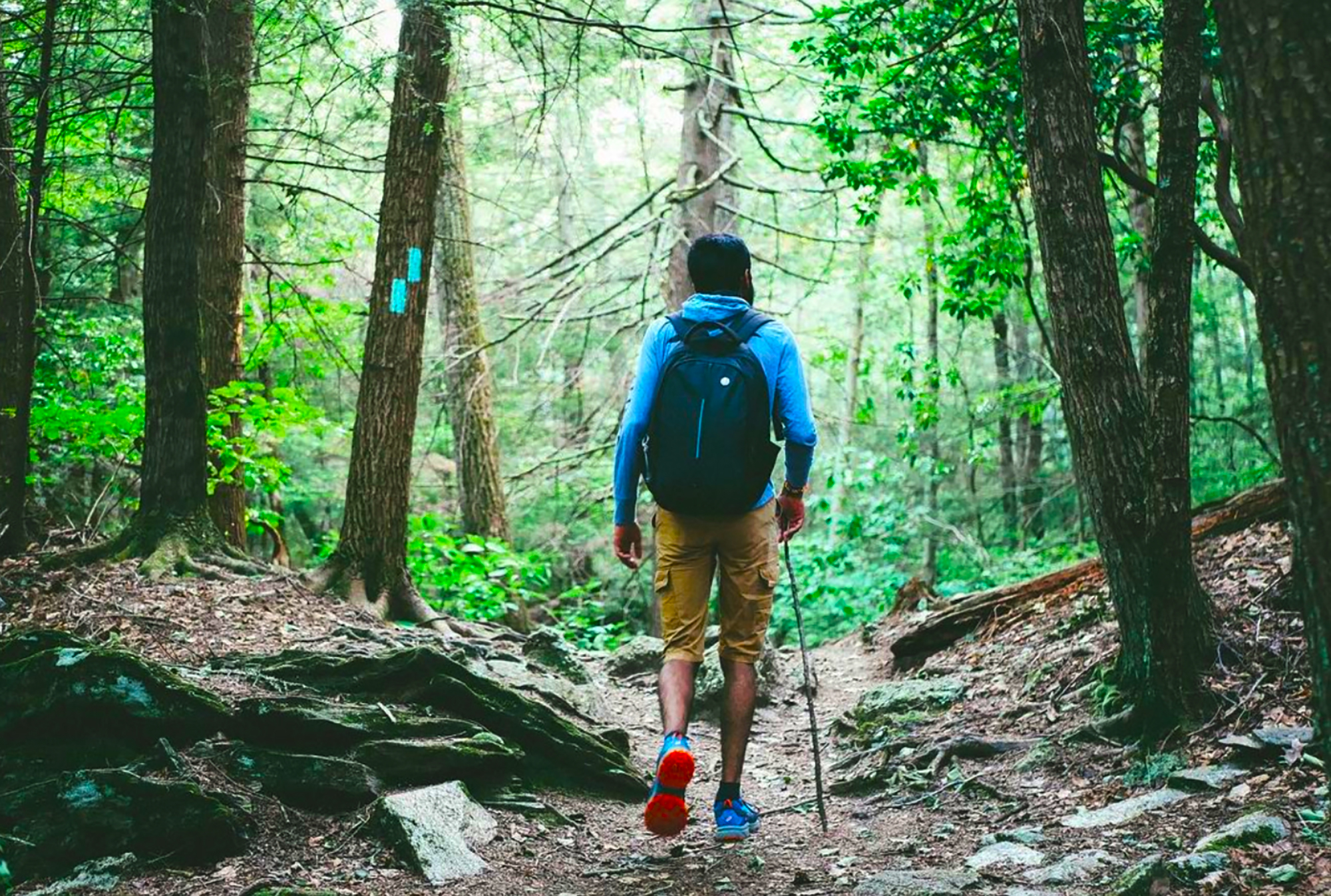 About Connecticut State Parks | Connecticut State Parks and Forests