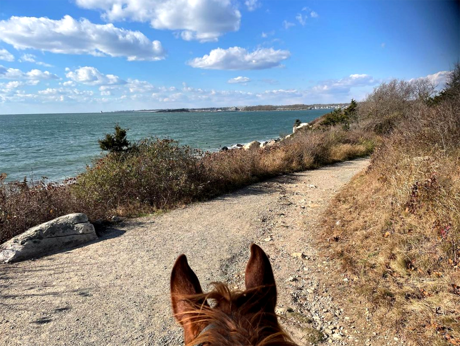 Bluff Point State Park | Connecticut State Parks and Forests