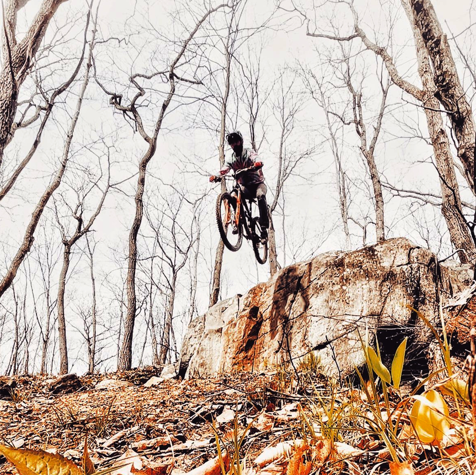 Hunting in Connecticut State Parks | Connecticut State Parks and Forests