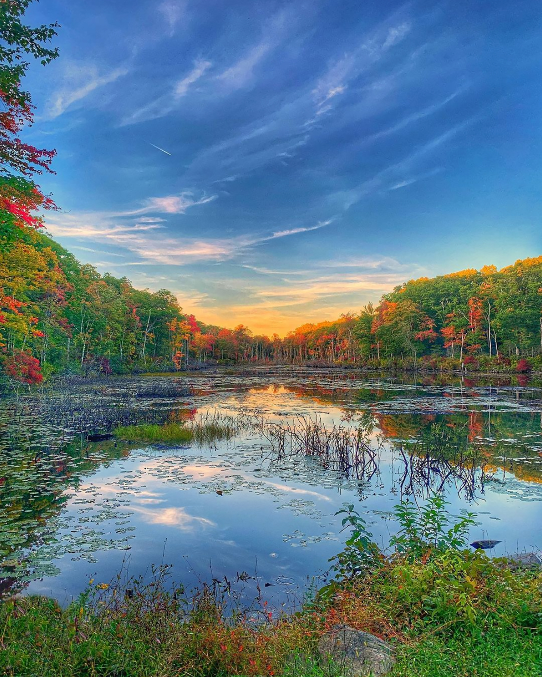 Hunting in Connecticut State Parks | Connecticut State Parks and Forests