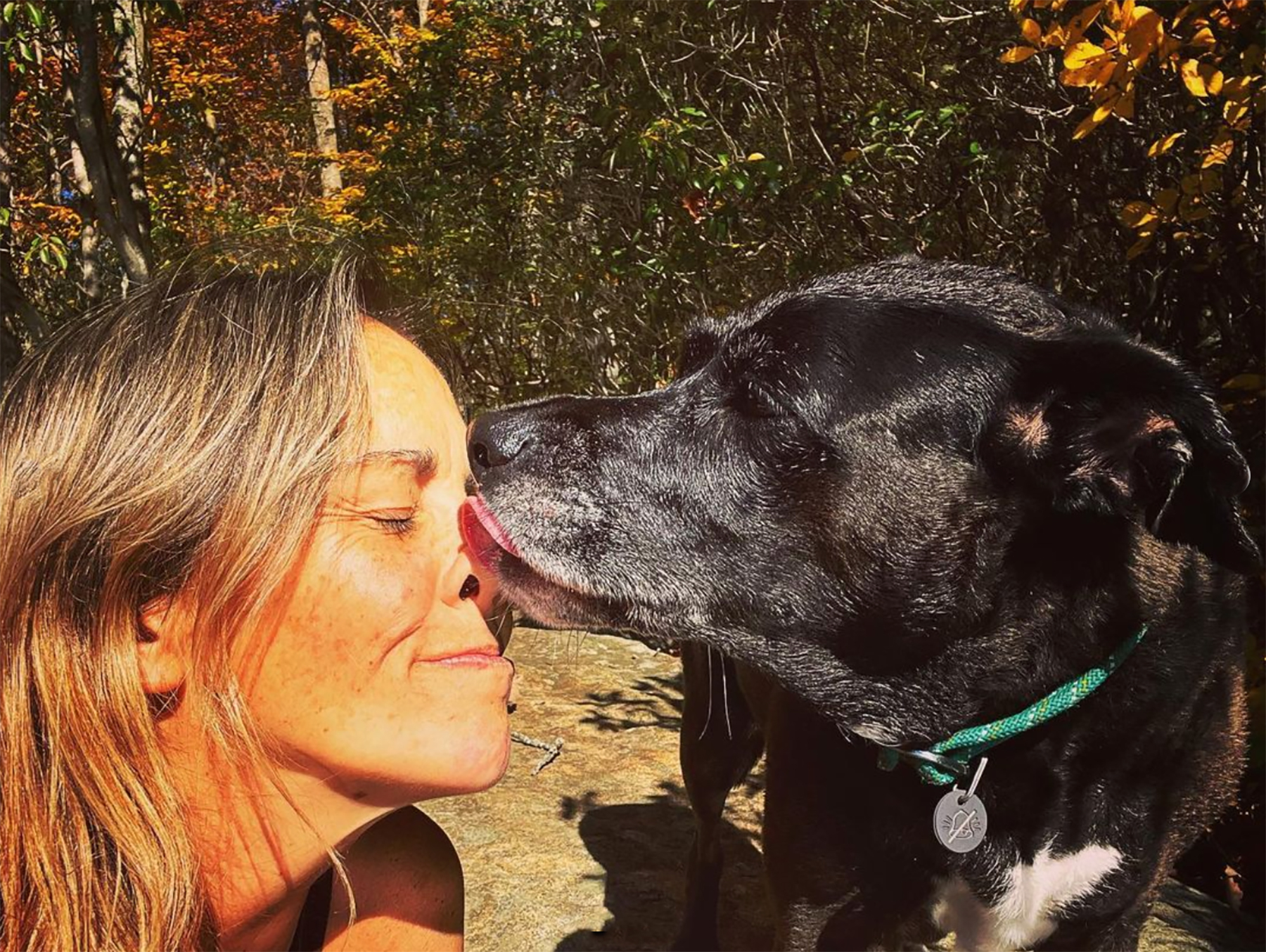 Cockaponset State Forest | Connecticut State Parks and Forests