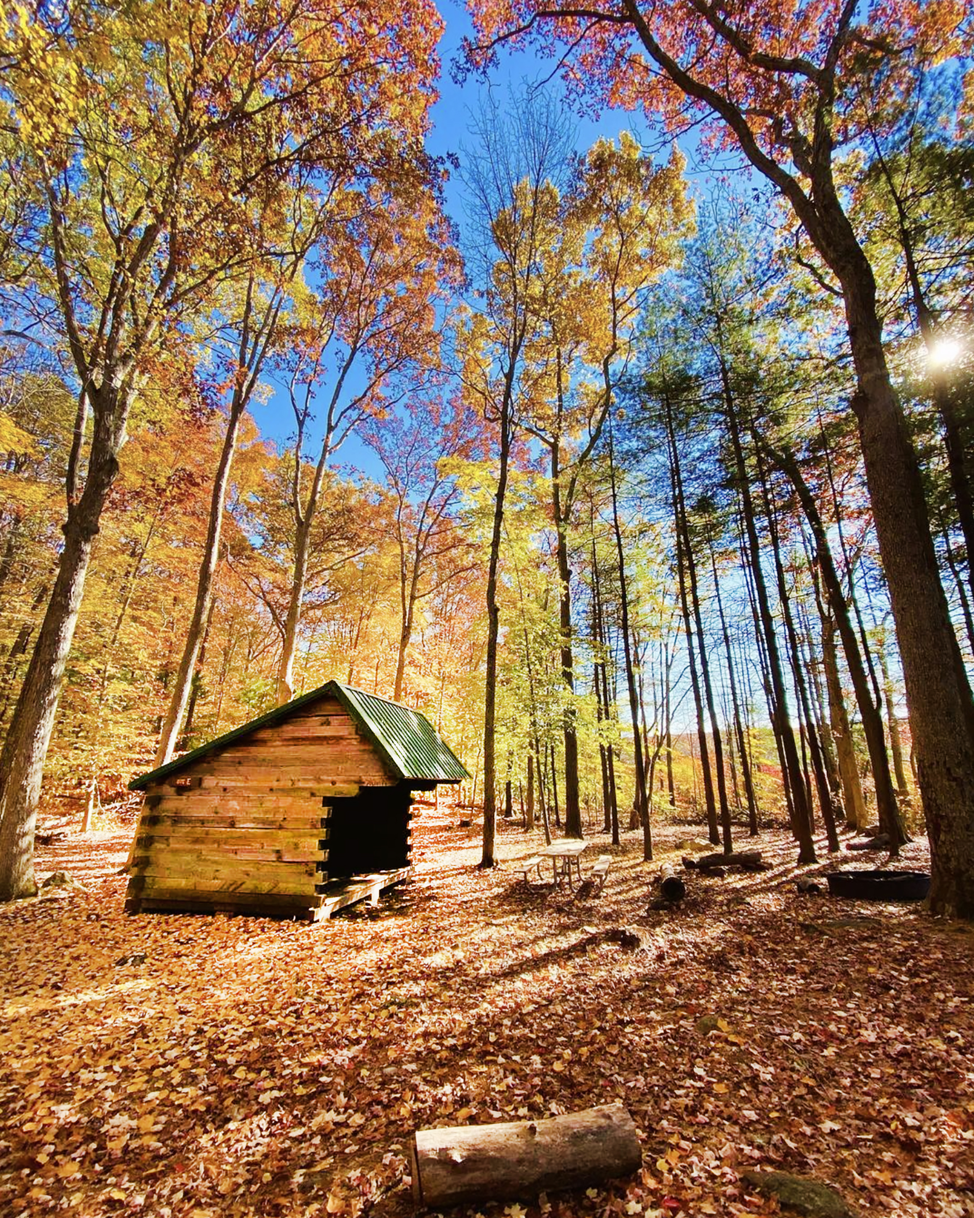 Cockaponset State Forest | Connecticut State Parks and Forests