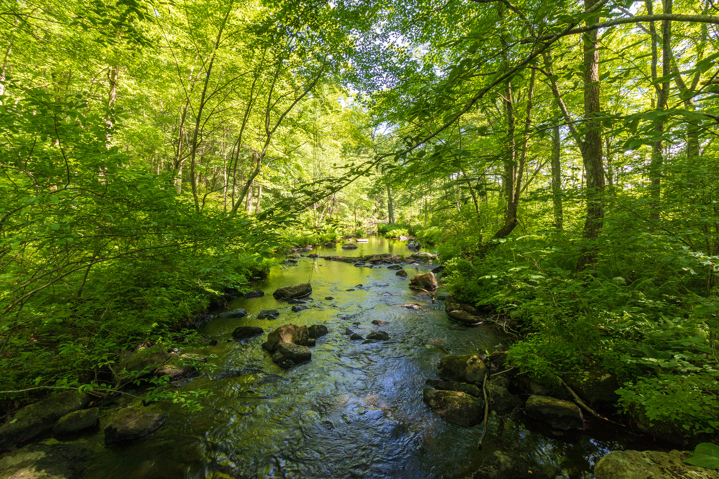Picnicking in Connecticut State Parks | Connecticut State Parks and Forests