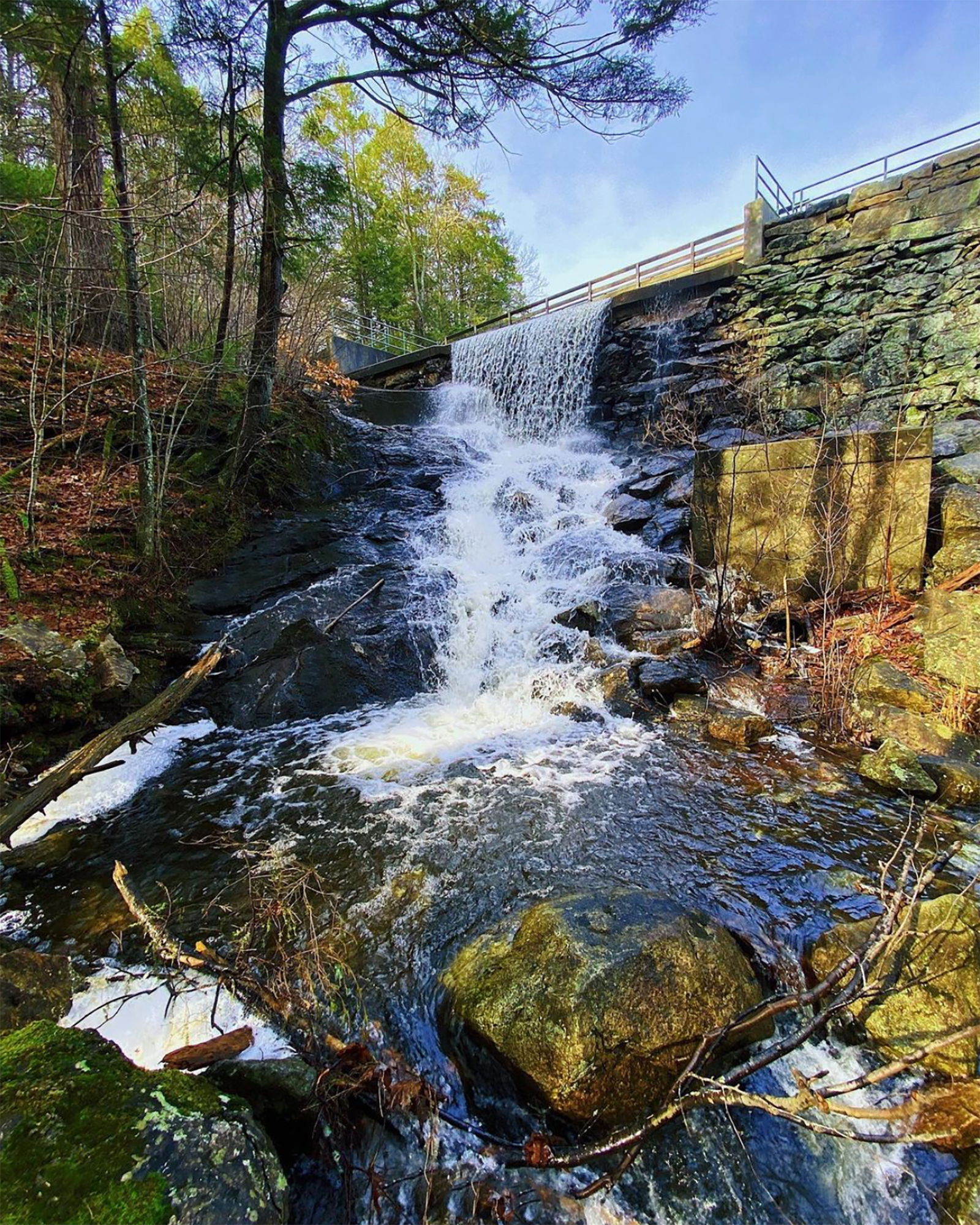 Green Falls State Campground | Connecticut State Parks and Forests