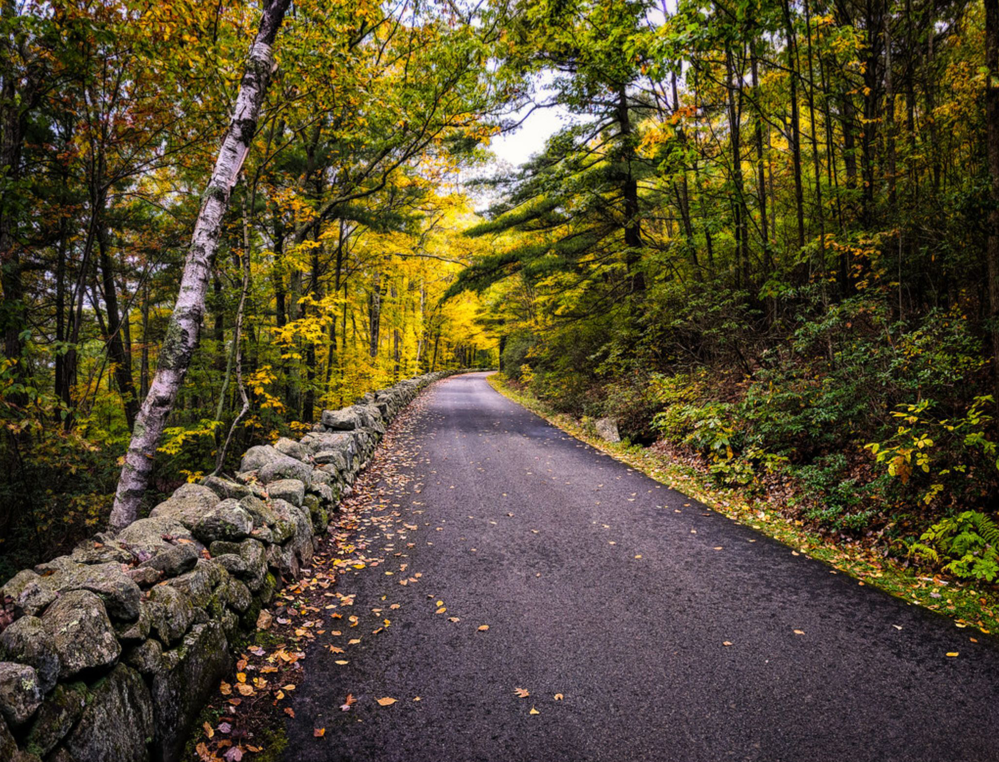 Haystack Mountain State Park | Connecticut State Parks and Forests