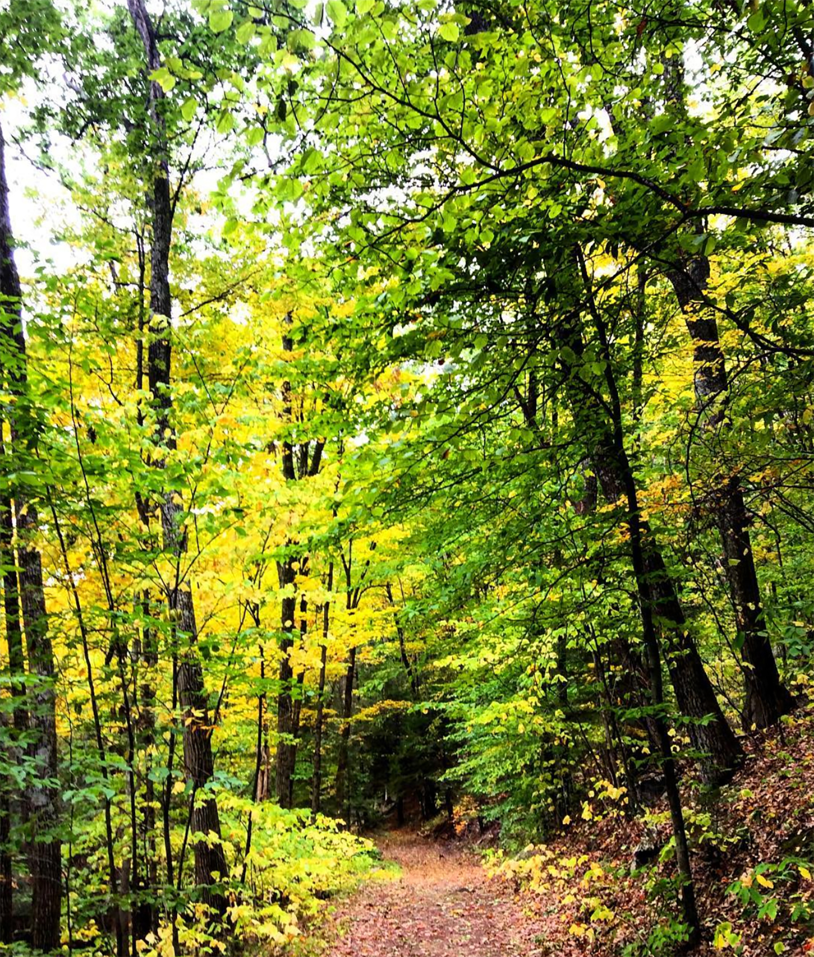 Haystack Mountain State Park | Connecticut State Parks and Forests