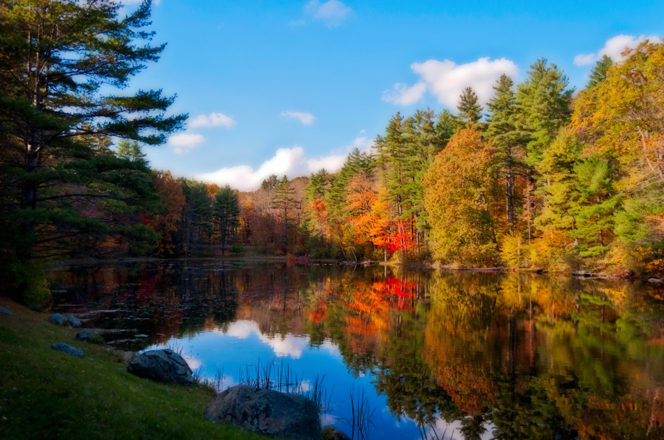 Haystack Mountain State Park | Connecticut State Parks and Forests