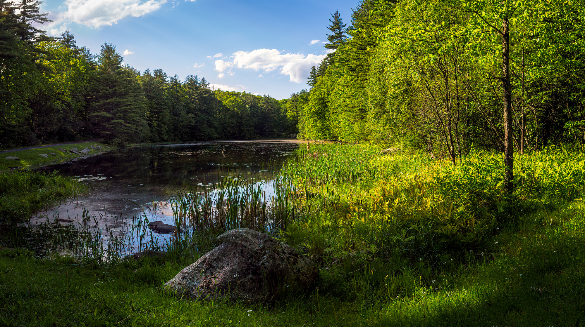 Haystack Mountain State Park | Connecticut State Parks and Forests