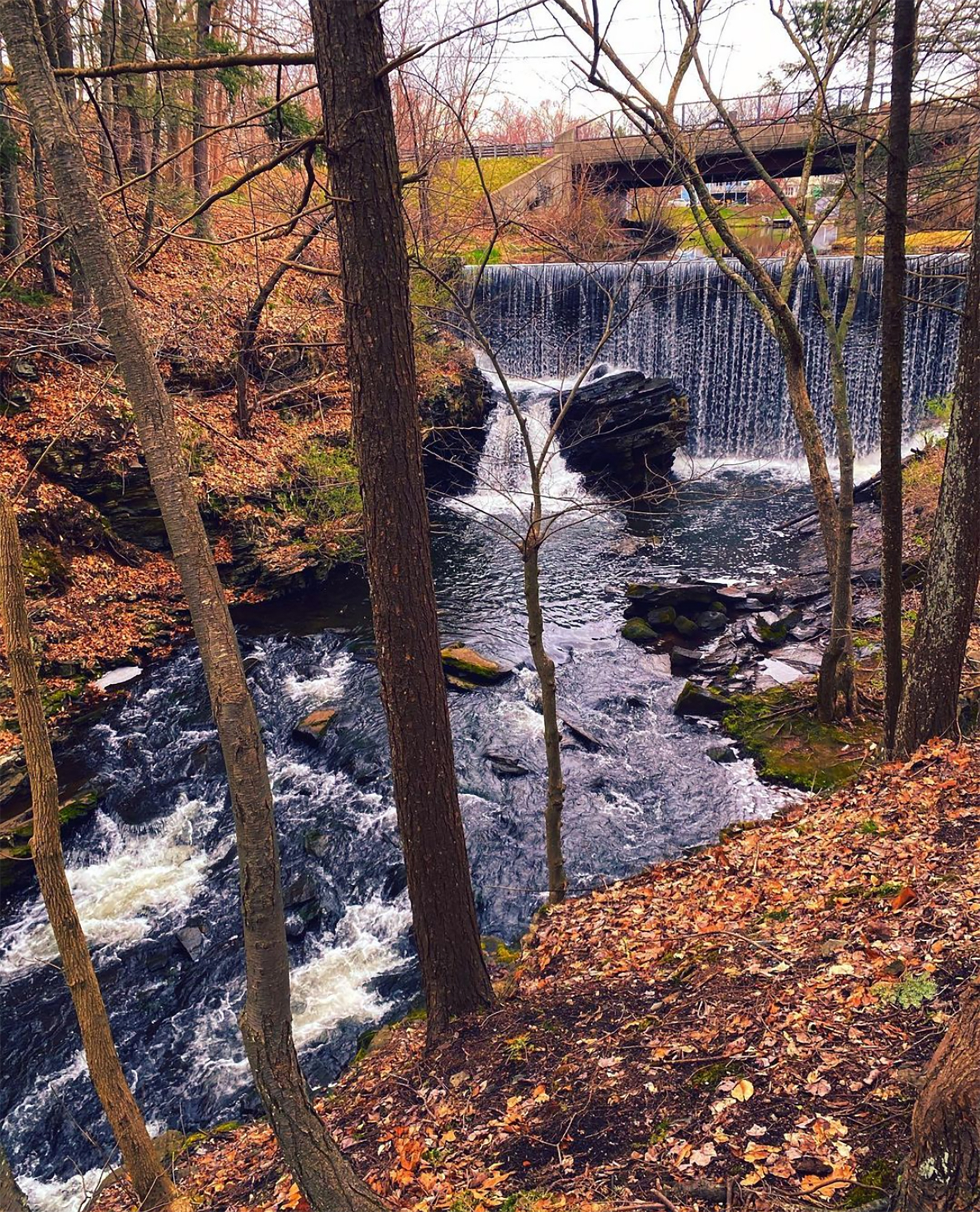 Hop River State Park Trail | Connecticut State Parks and Forests