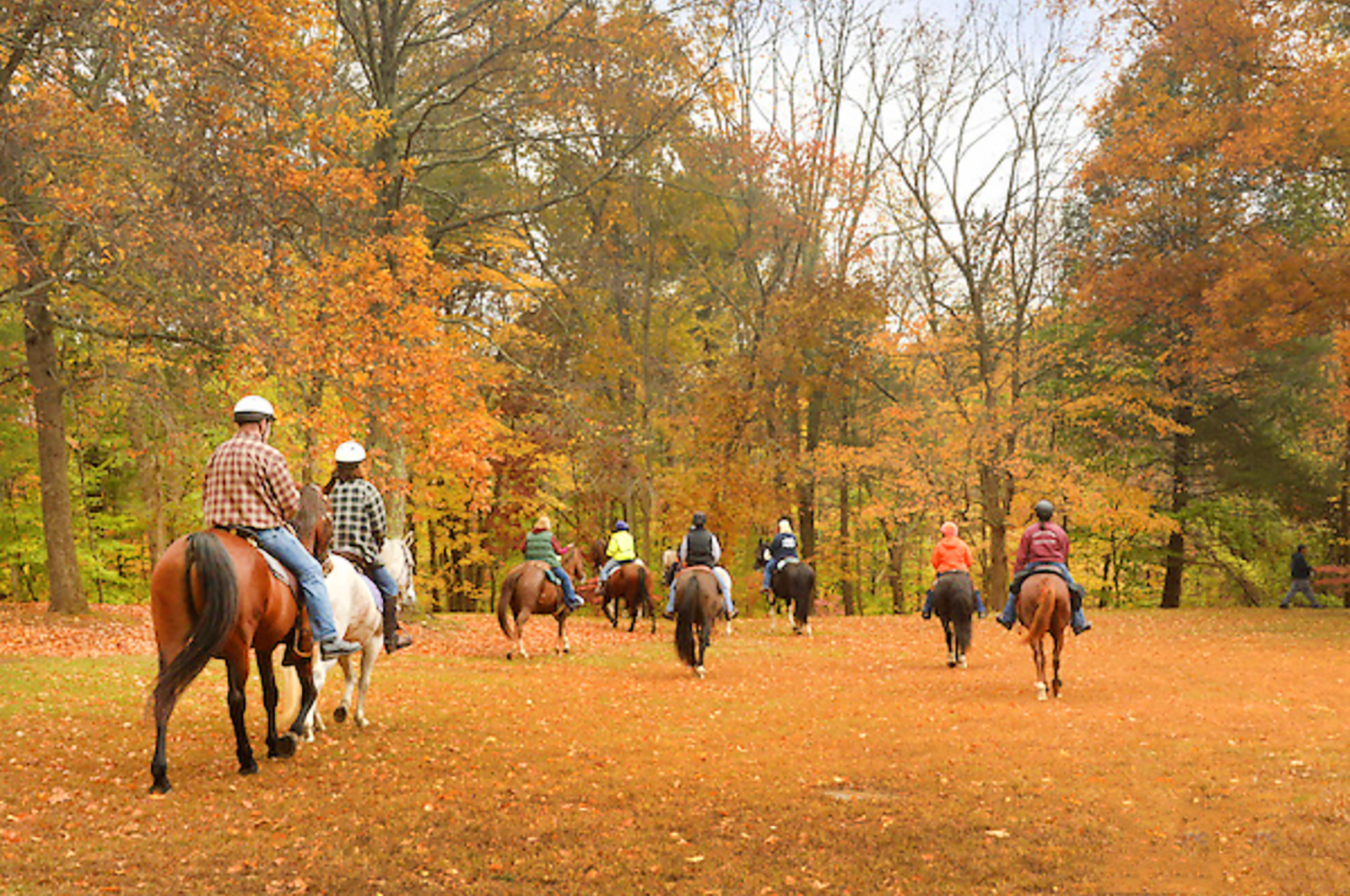 Hurd State Park | Connecticut State Parks and Forests