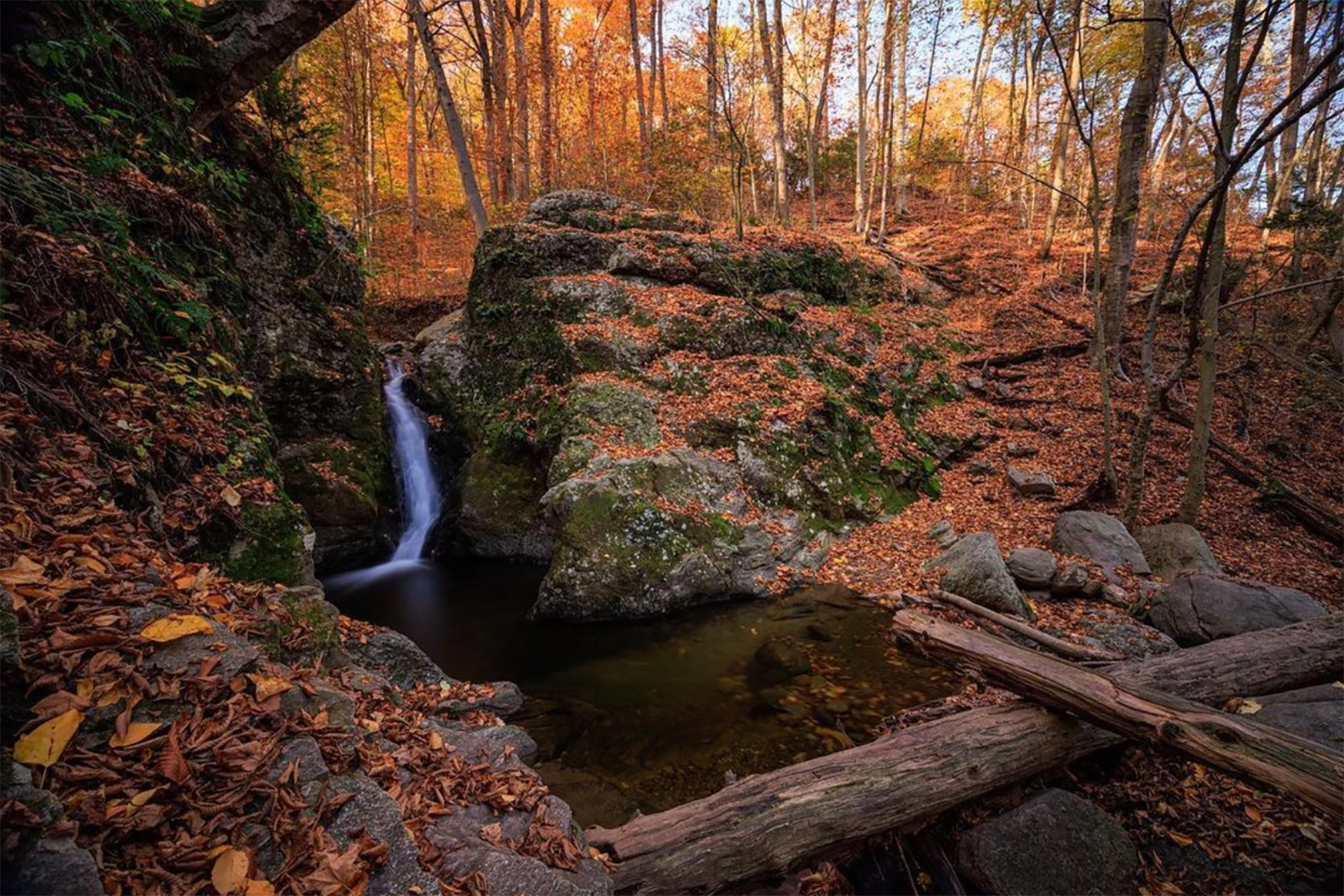 Indian Well State Park | Connecticut State Parks and Forests