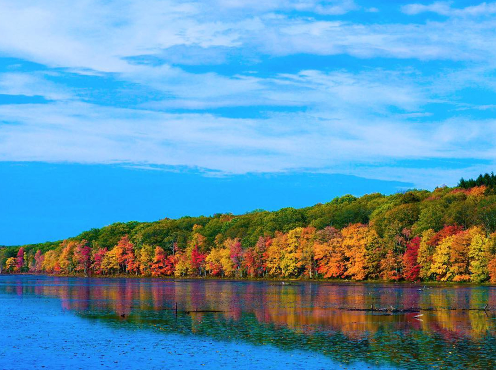 James L. Goodwin State Forest | Connecticut State Parks and Forests