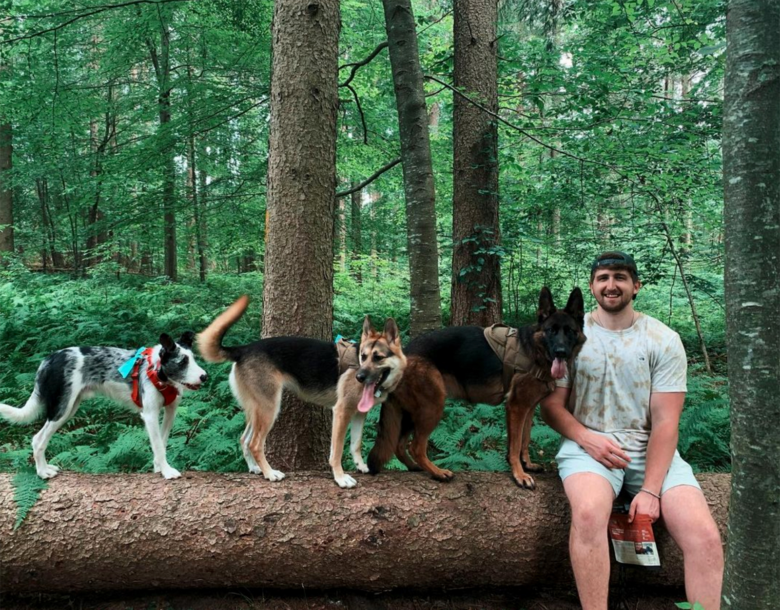 James L. Goodwin State Forest | Connecticut State Parks and Forests