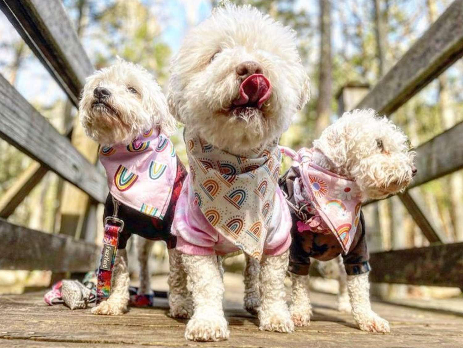 Kettletown State Park | Connecticut State Parks and Forests
