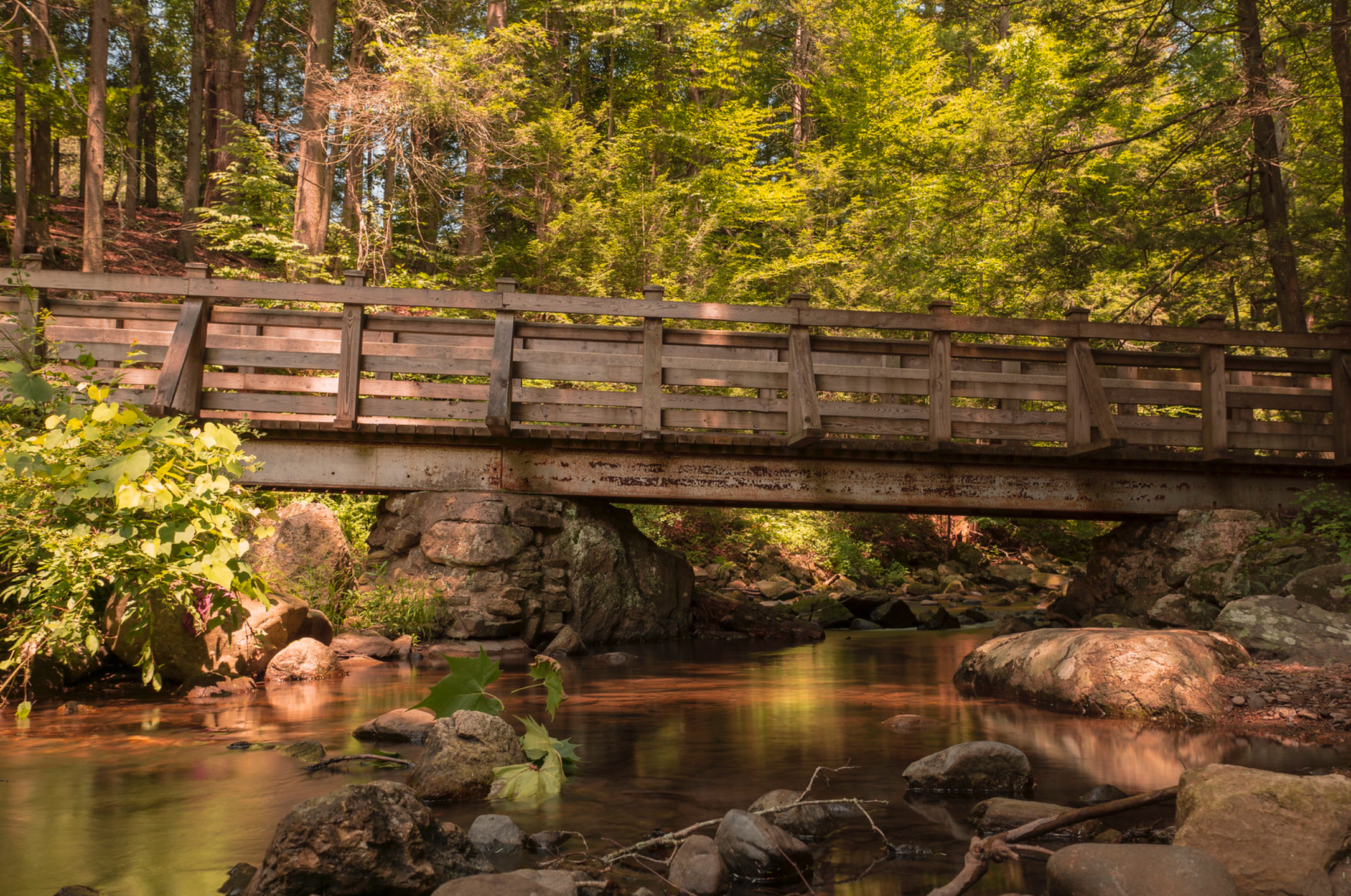 Kettletown State Park | Connecticut State Parks and Forests