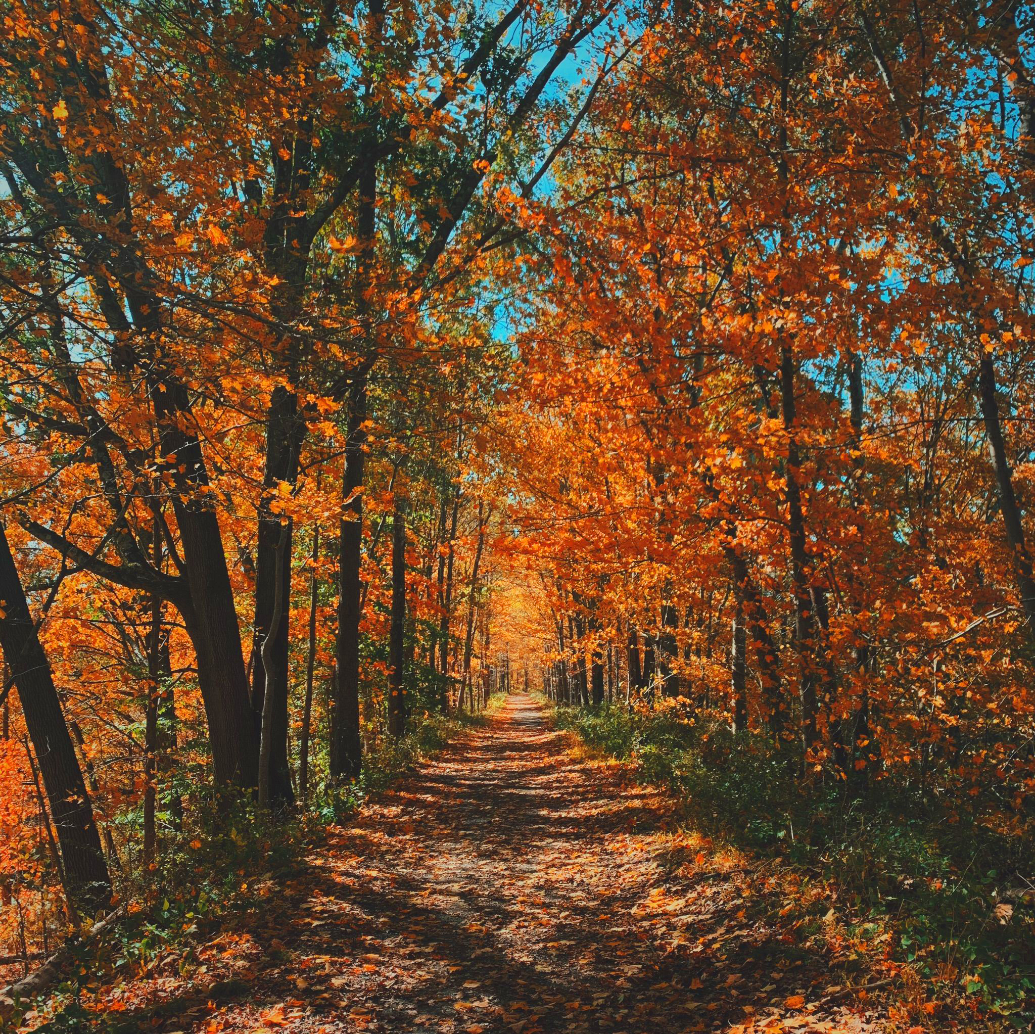 Biking at Connecticut State Parks | Connecticut State Parks and Forests