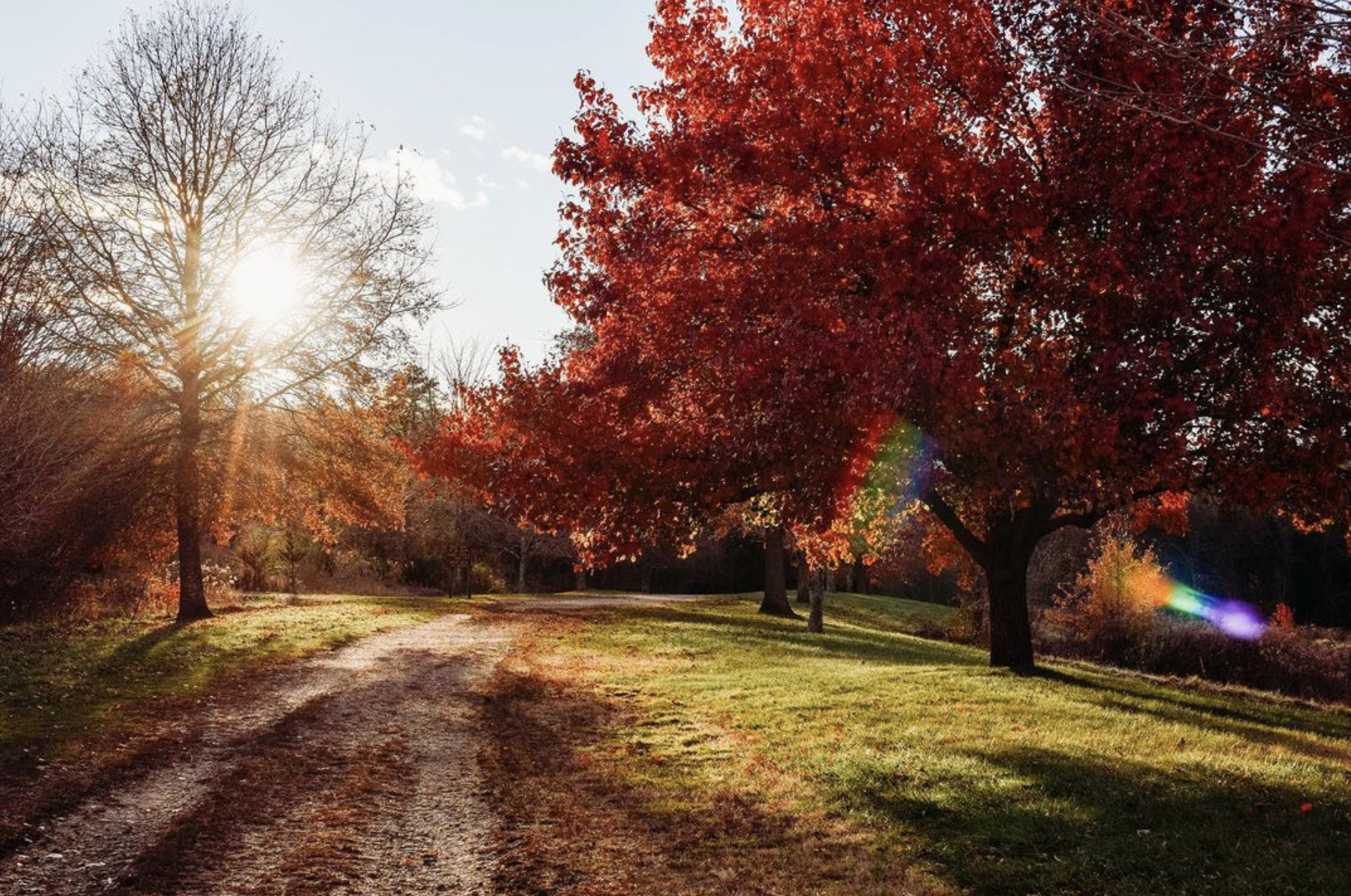 Machimoodus State Park | Connecticut State Parks and Forests