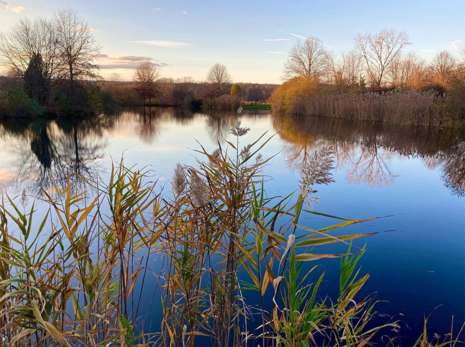 Machimoodus State Park | Connecticut State Parks and Forests