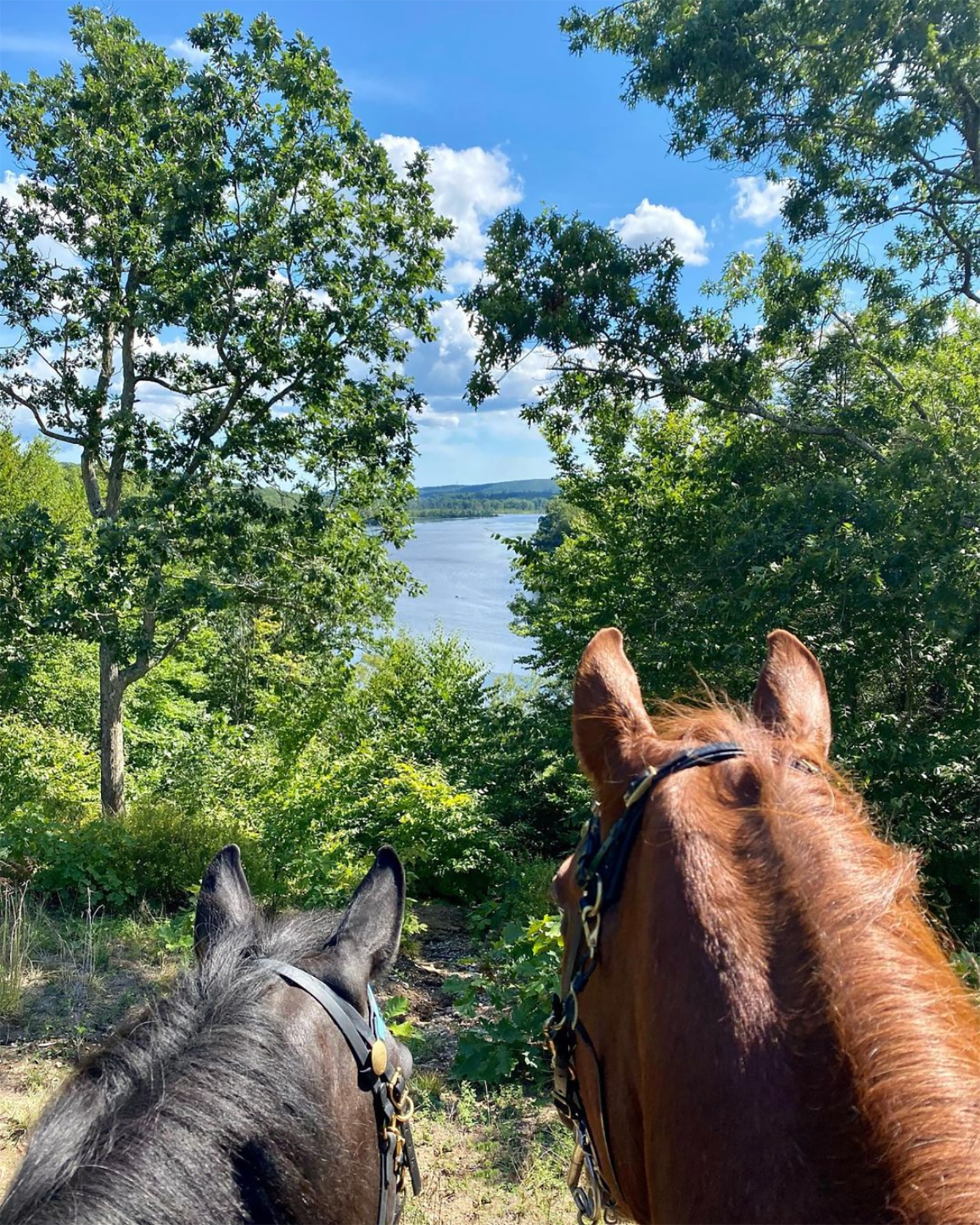 Machimoodus State Park | Connecticut State Parks and Forests