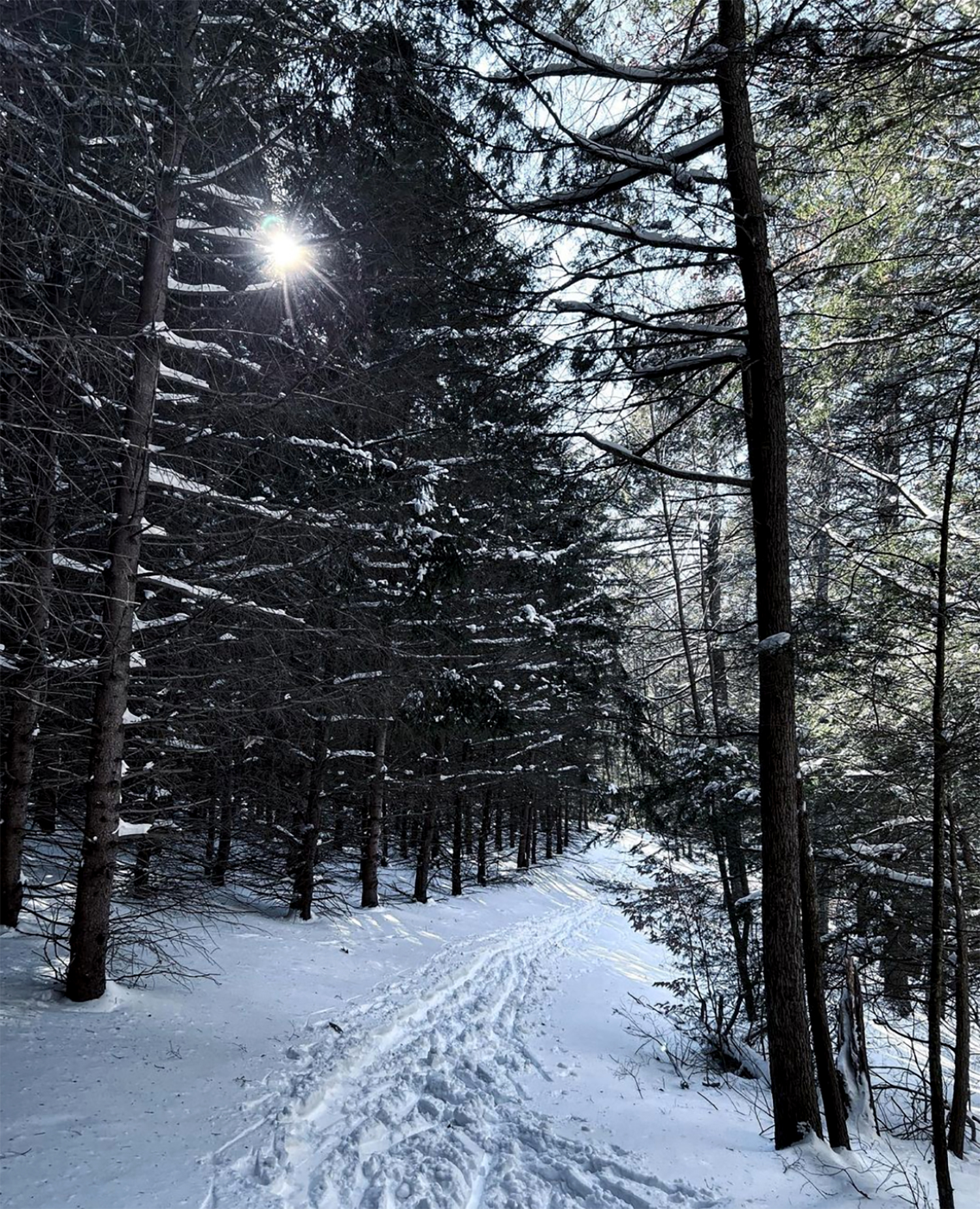 Machimoodus State Park | Connecticut State Parks and Forests