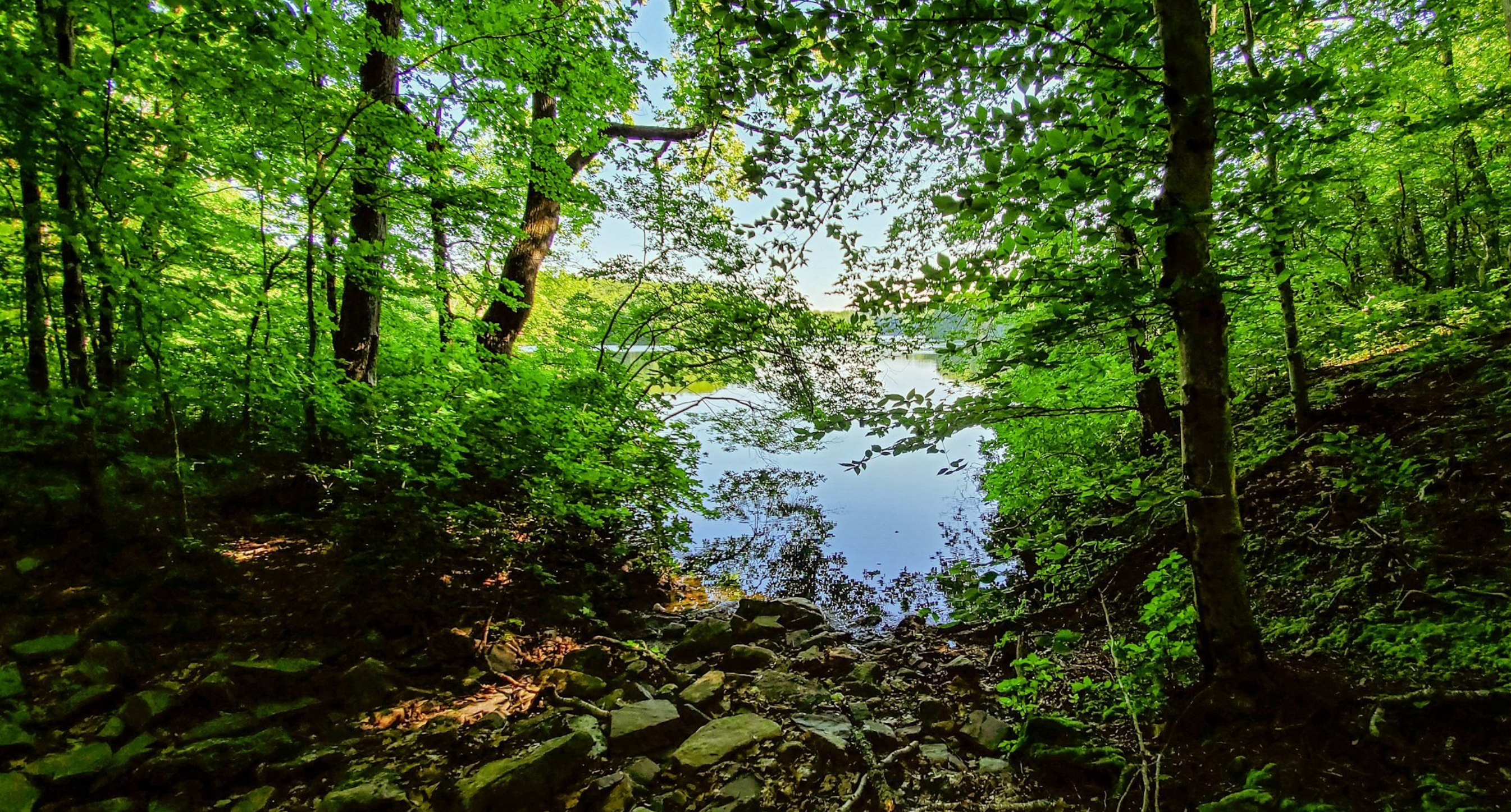 Hunting in Connecticut State Parks | Connecticut State Parks and Forests