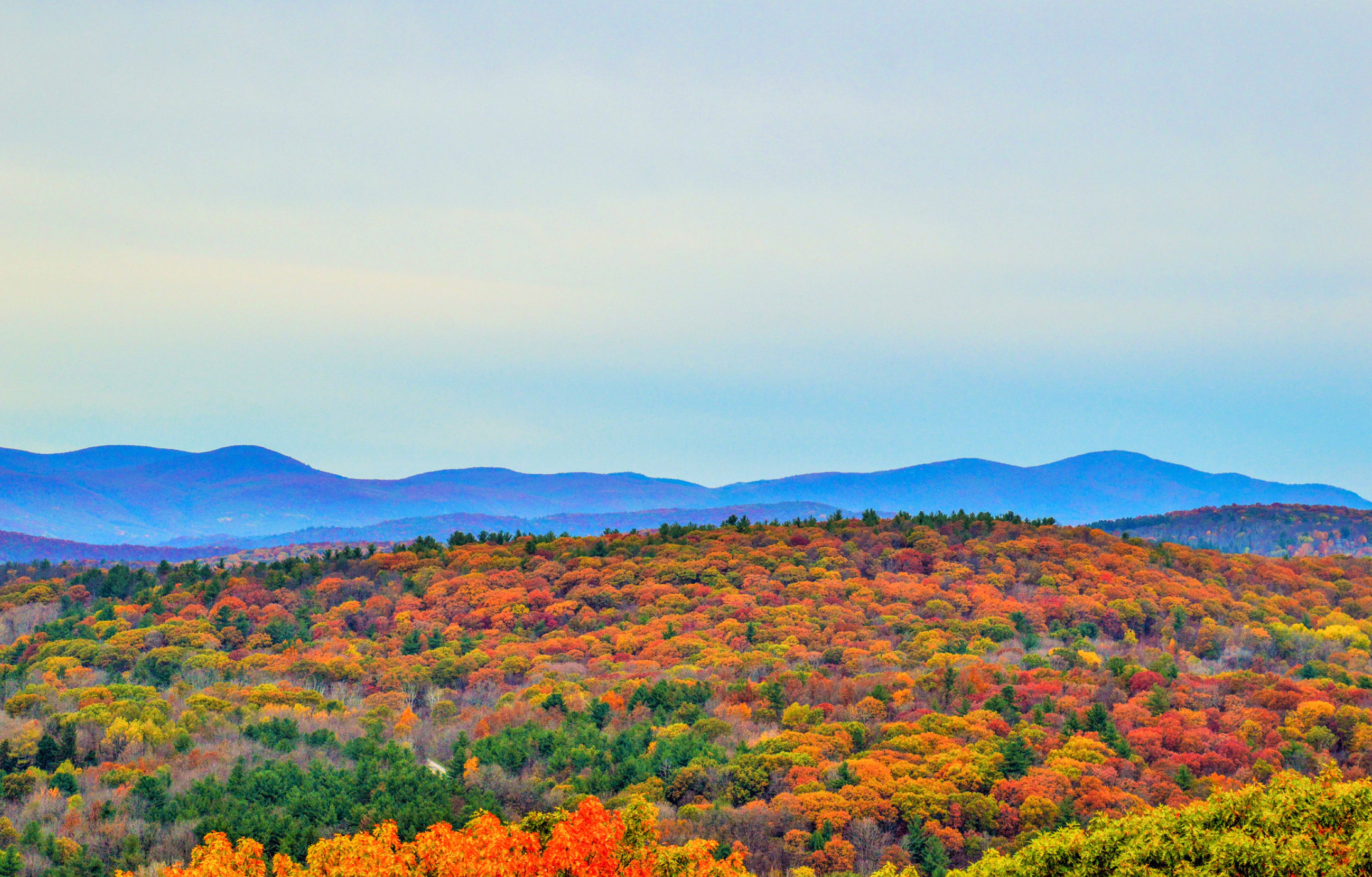 Mohawk State Park/Forest | Connecticut State Parks and Forests