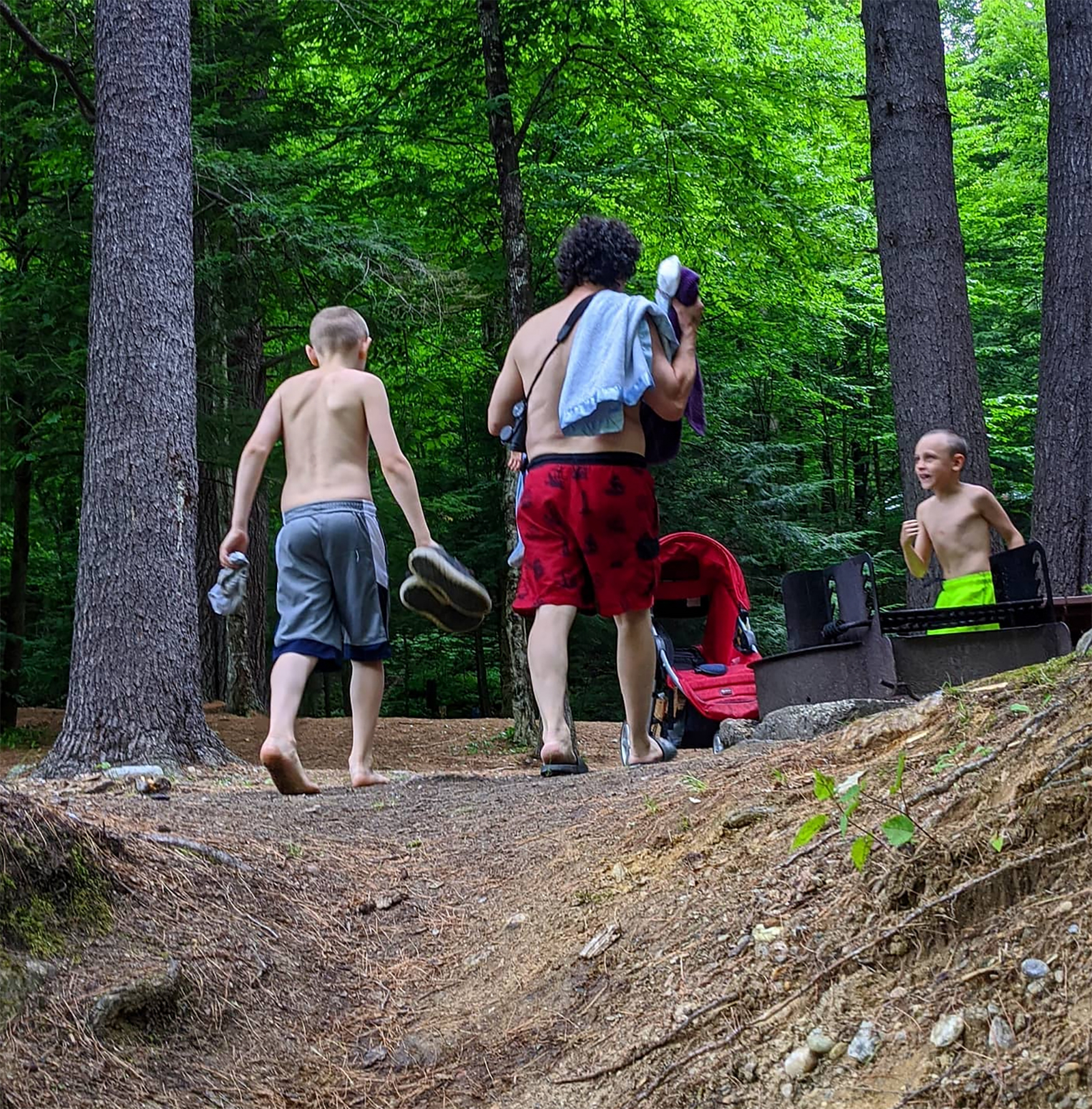 Mohawk State Park/Forest | Connecticut State Parks and Forests