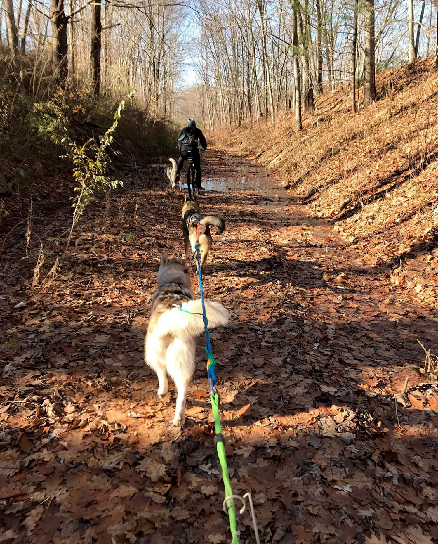 Moosup Valley State Park Trail | Connecticut State Parks and Forests