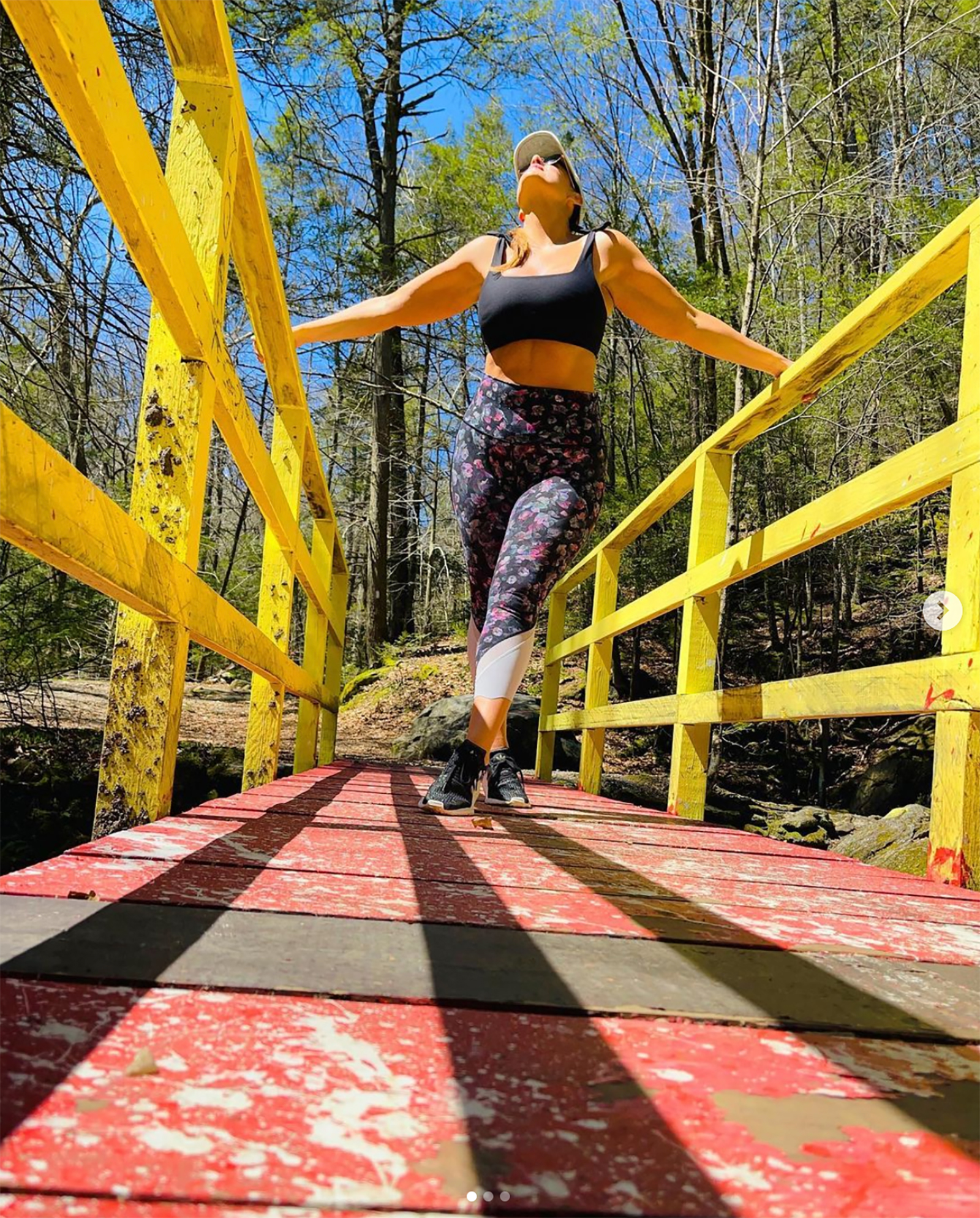 Naugatuck State Forest | Connecticut State Parks and Forests