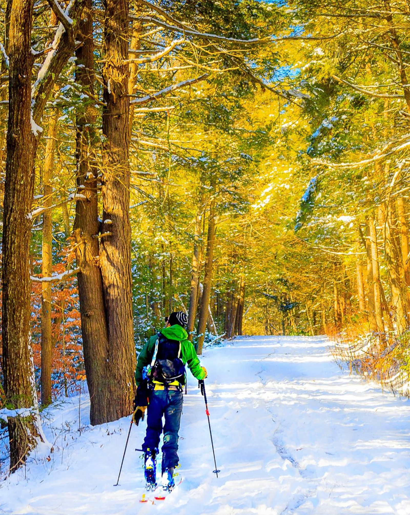 Hunting in Connecticut State Parks | Connecticut State Parks and Forests