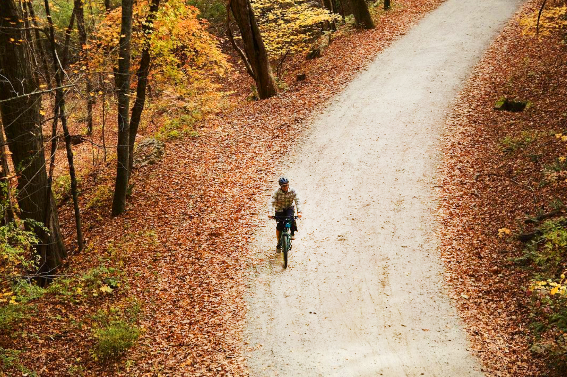 Salmon River State Forest | Connecticut State Parks and Forests