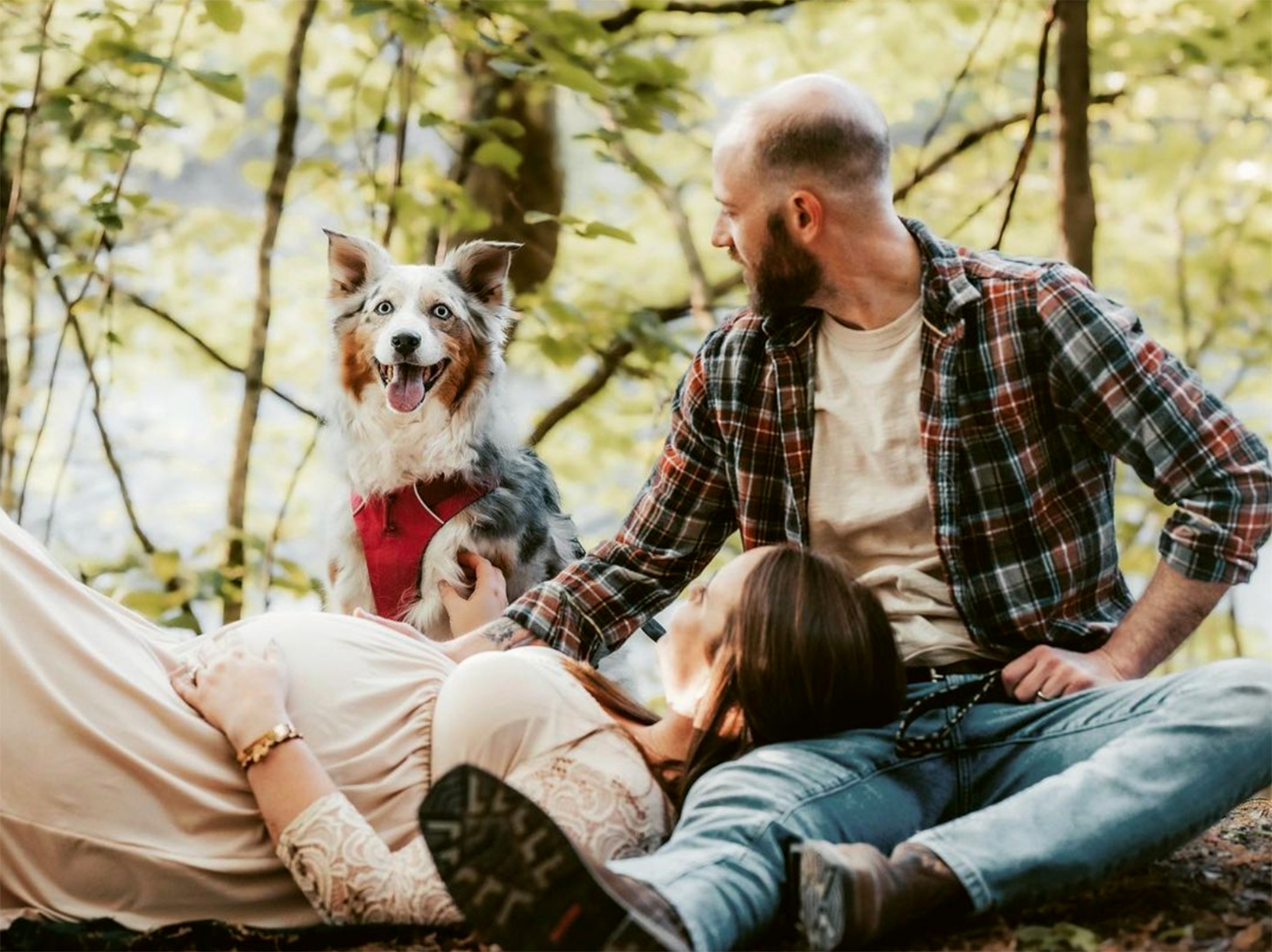 Salmon River State Forest | Connecticut State Parks and Forests