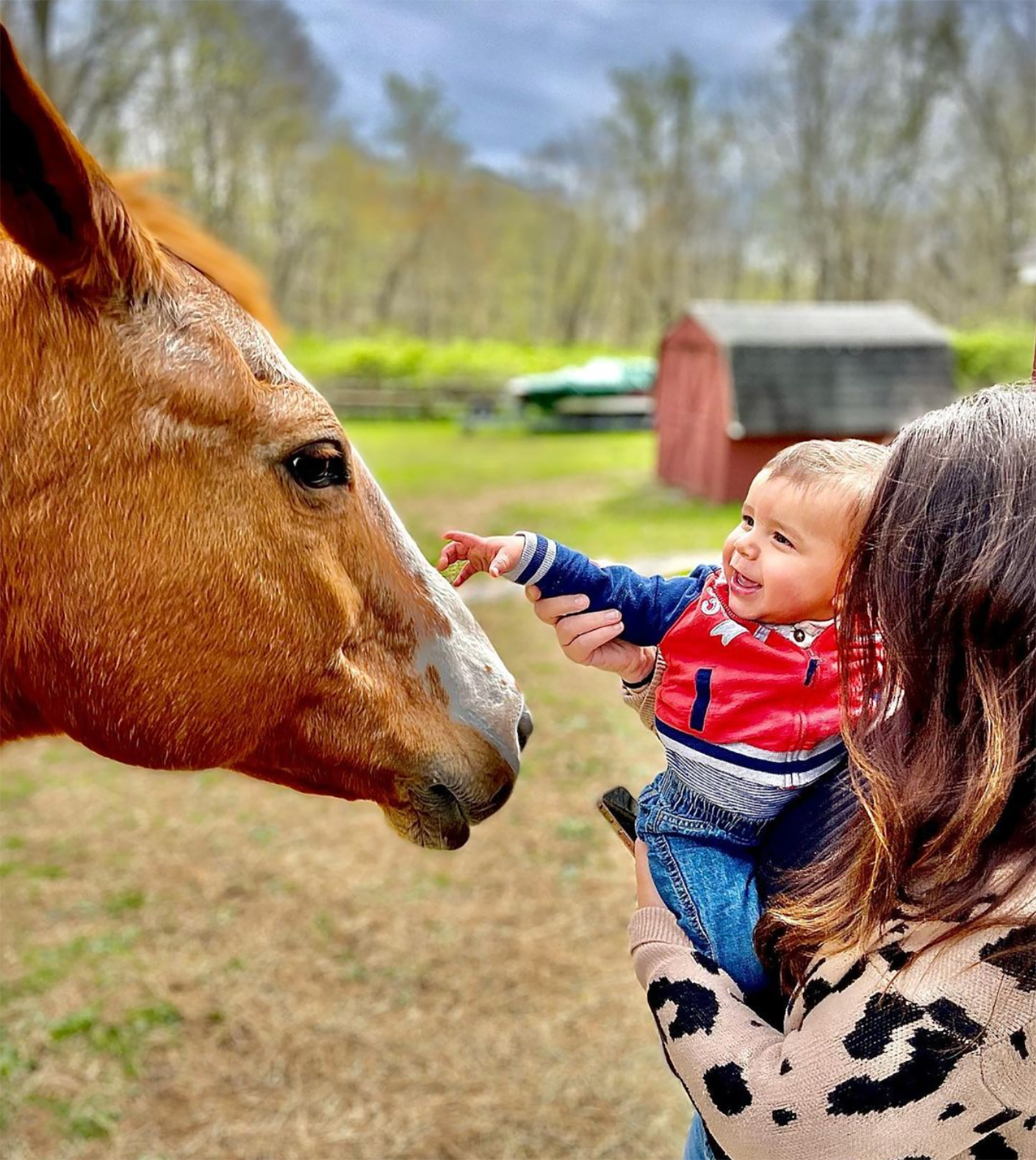 Salmon River State Forest | Connecticut State Parks and Forests