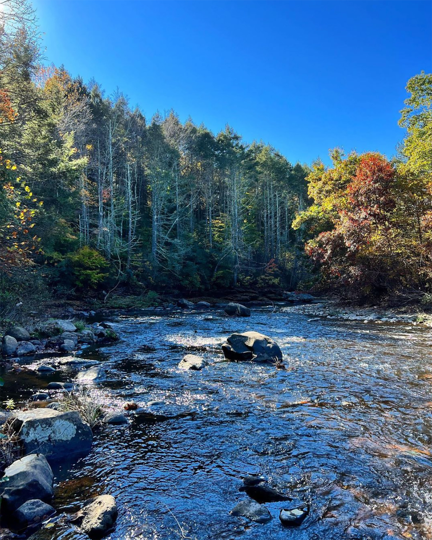 Salmon River State Forest | Connecticut State Parks and Forests