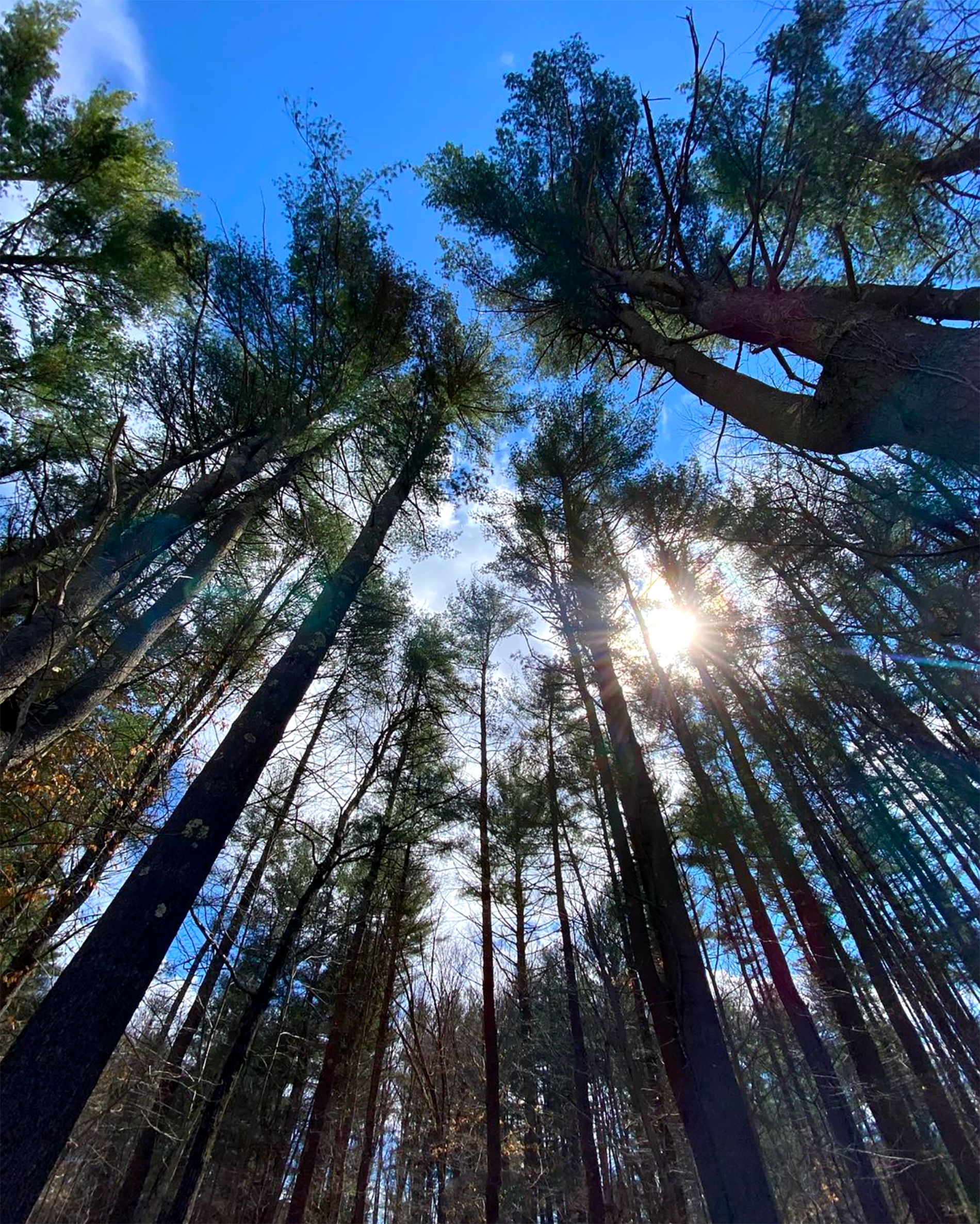 Connecticut State Parks and Forests