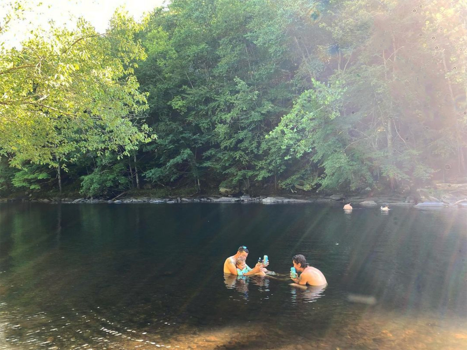 Salt Rock State Forest | Connecticut State Parks and Forests