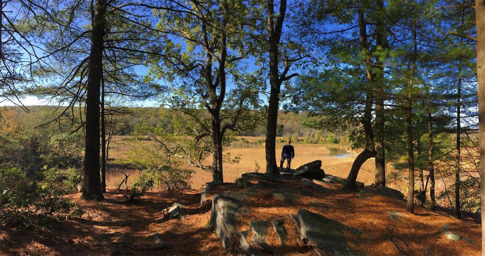 Selden Neck State Park | Connecticut State Parks and Forests