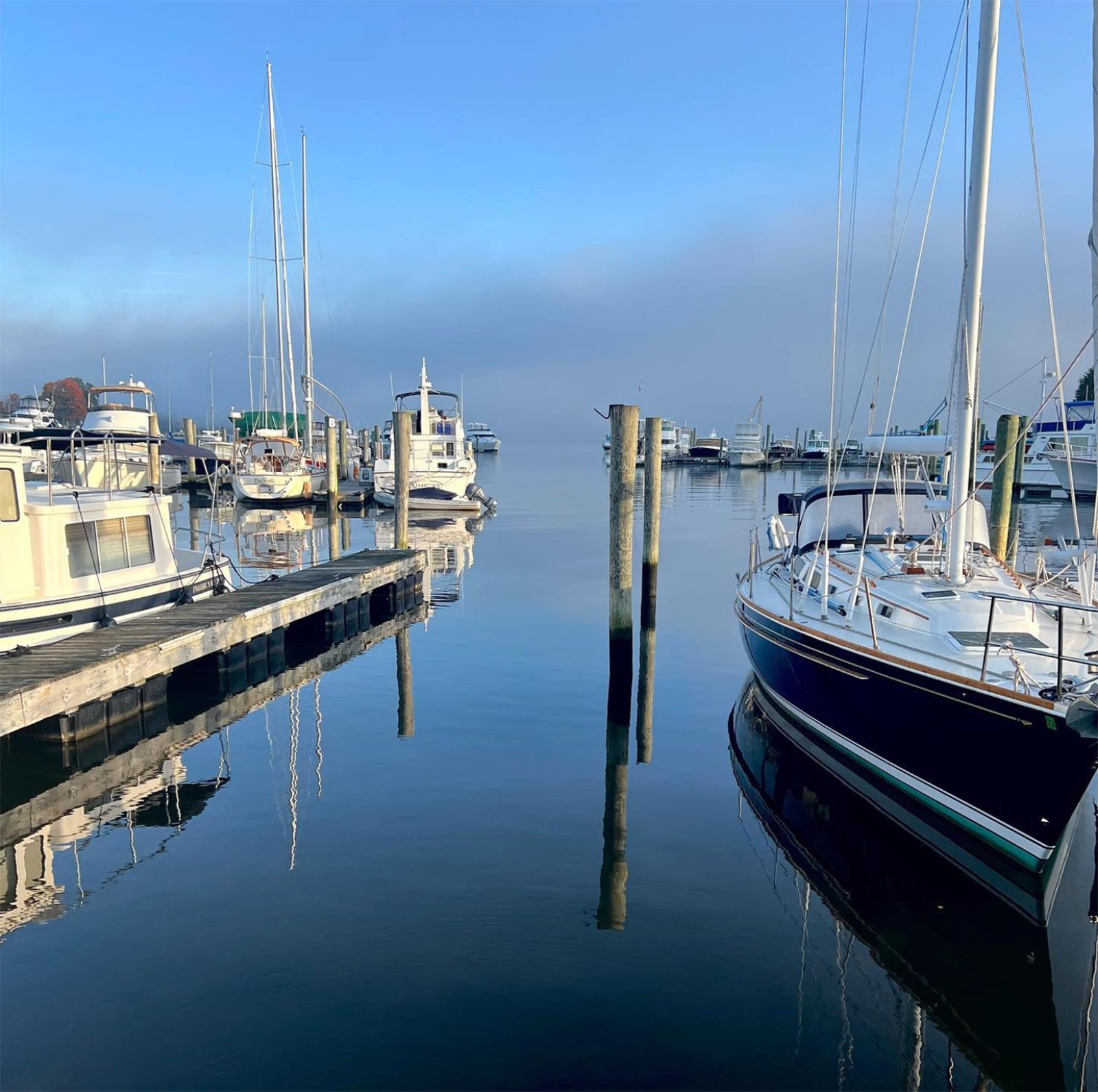 Selden Neck State Park | Connecticut State Parks and Forests