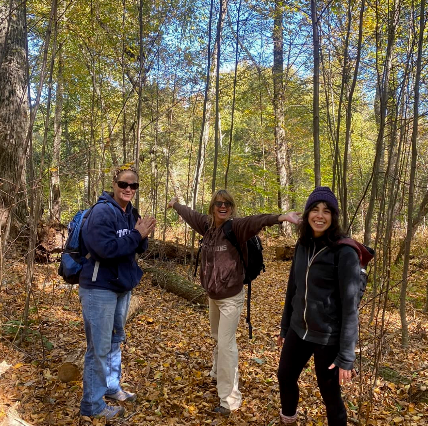 Selden Neck State Park | Connecticut State Parks and Forests